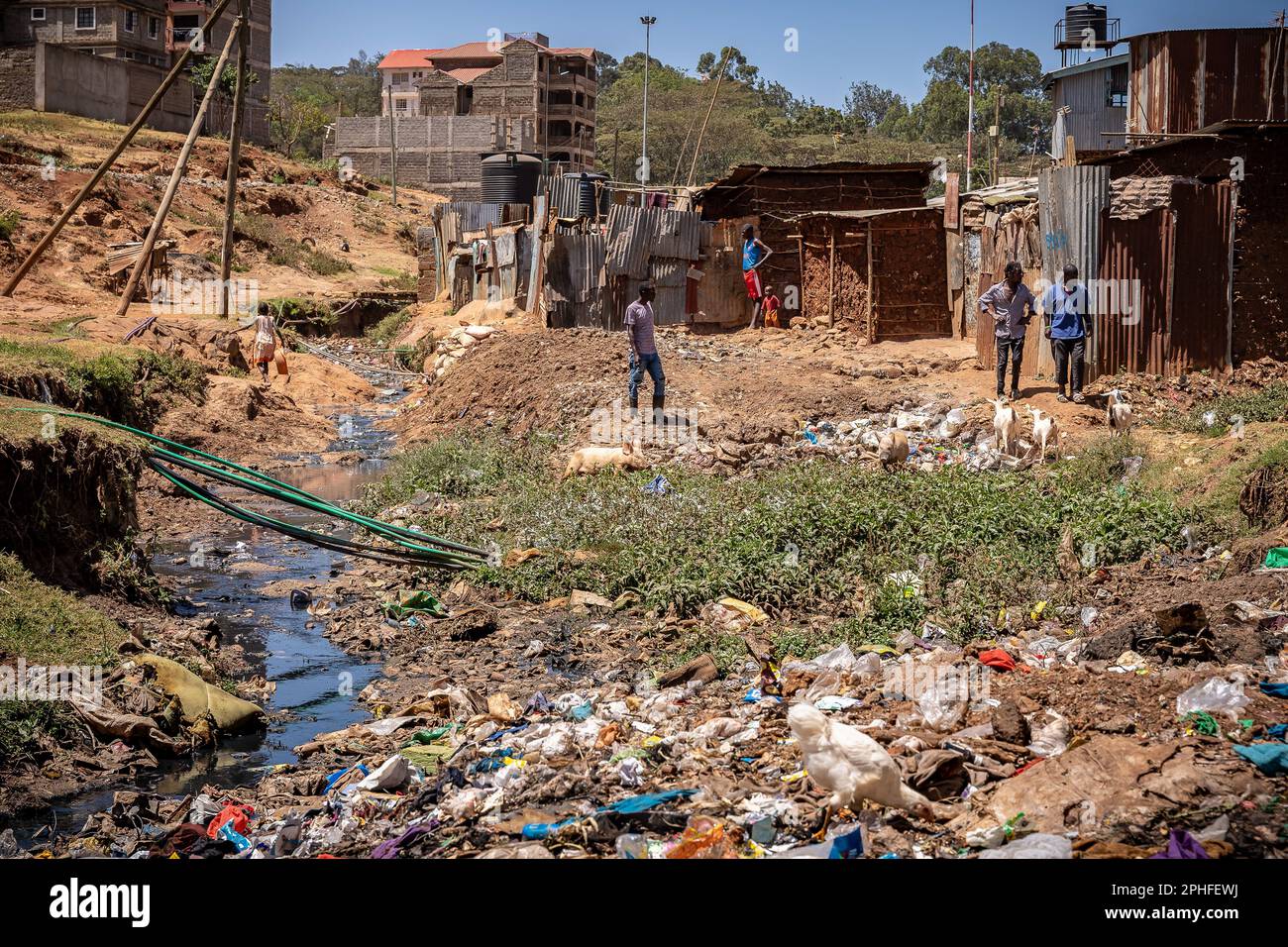 Les humains et les animaux le long de la rivière polluée qui traverse ...