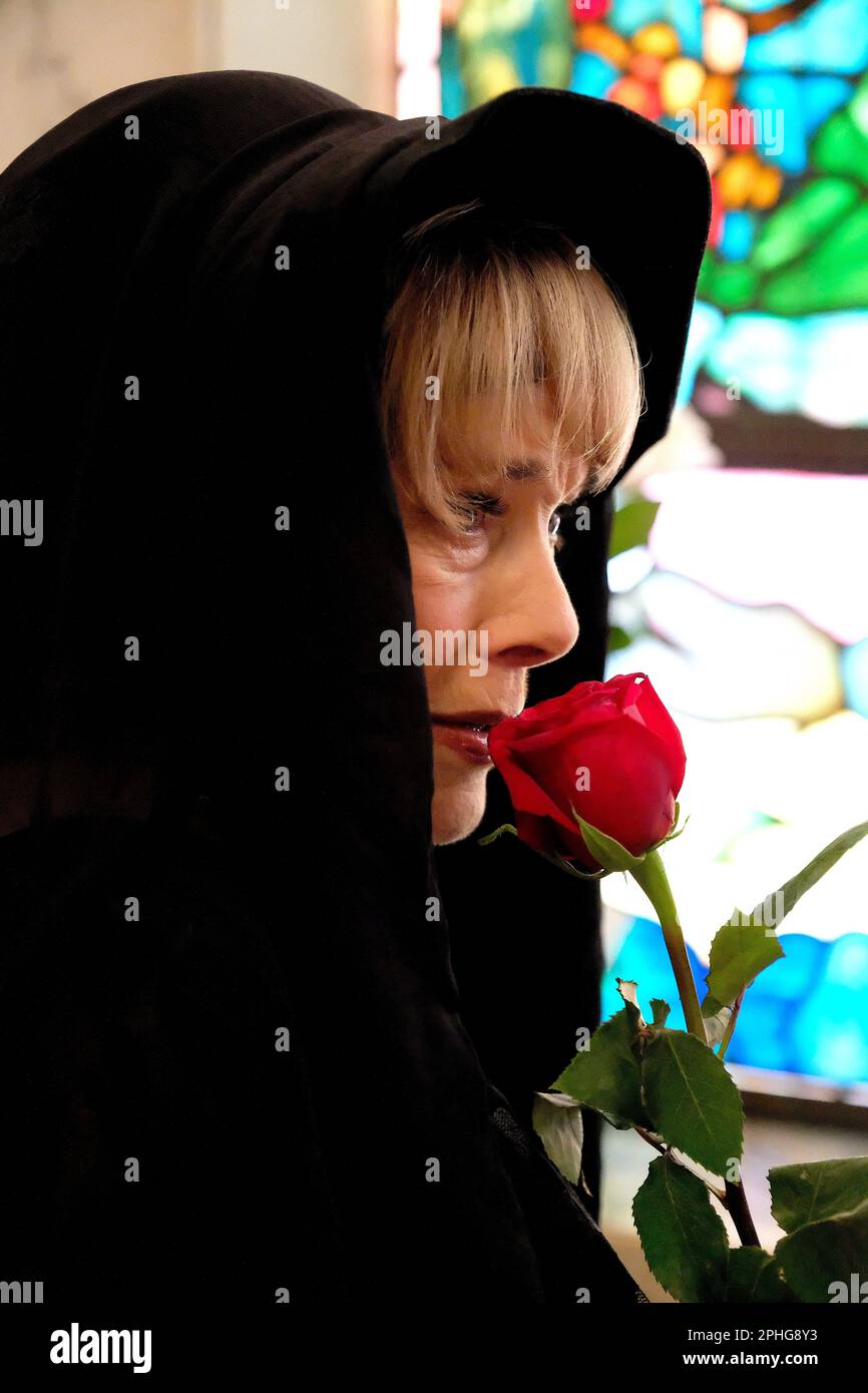 Terry moore Banque de photographies et d’images à haute résolution - Alamy