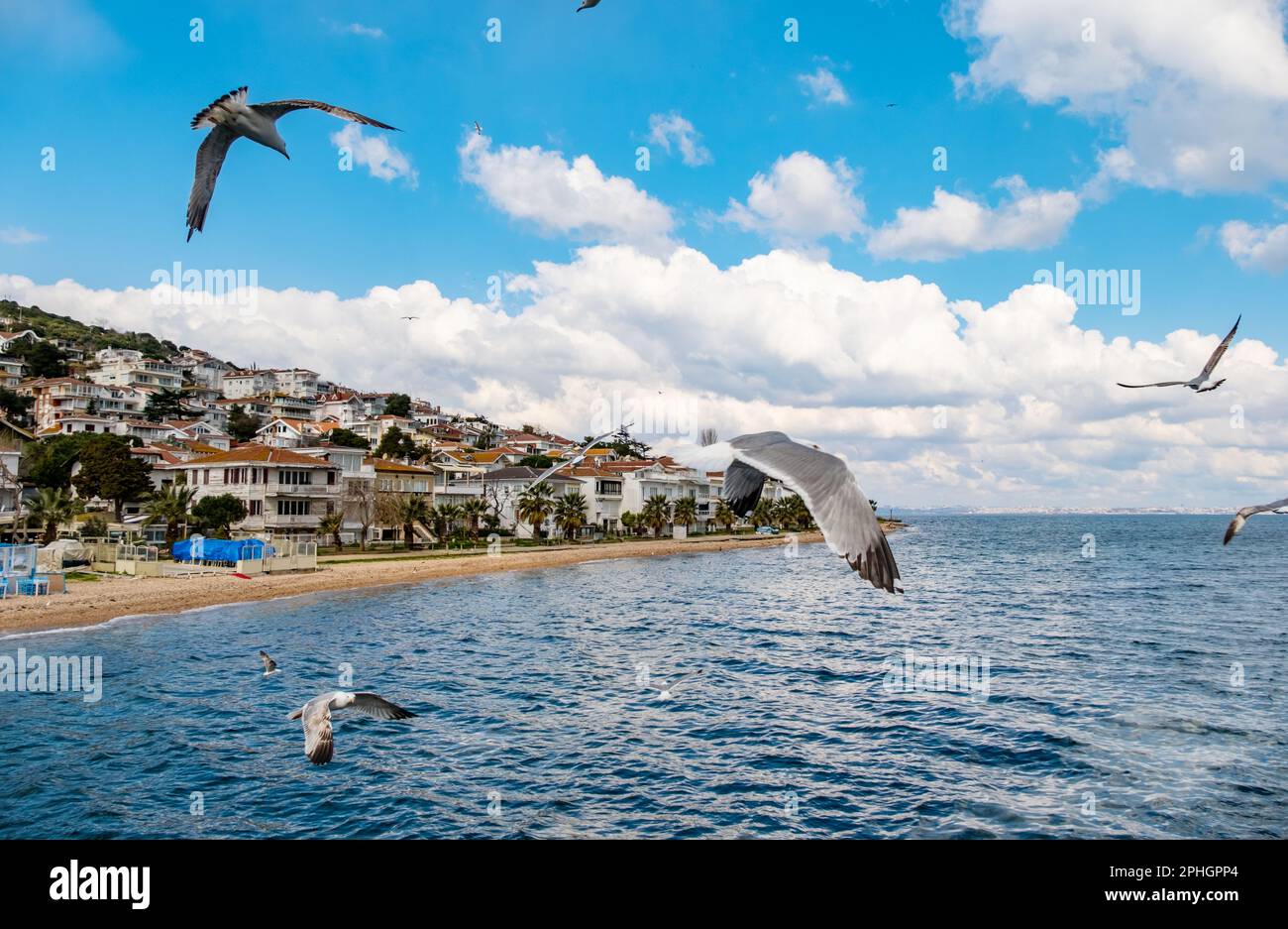 L'île des Princes Buyukada est la plus grande station balnéaire de la ...