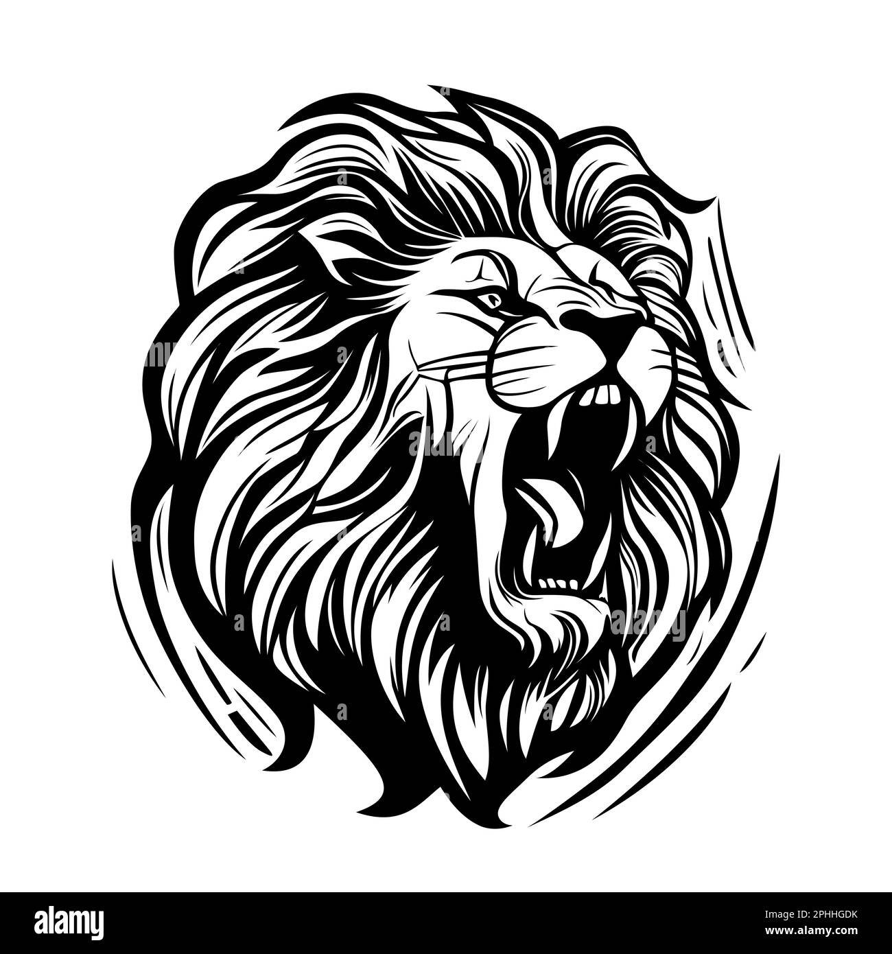 Méchant lion Banque d'images noir et blanc - Alamy