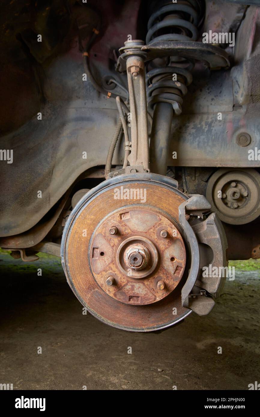 Porte-Fusée : Rôle, Symptômes, Prix – VNUMS