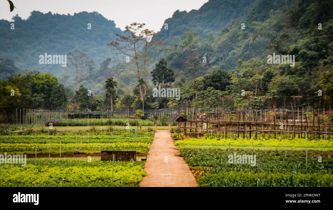 Touring vietnam Banque de photographies et d’images à haute résolution ...