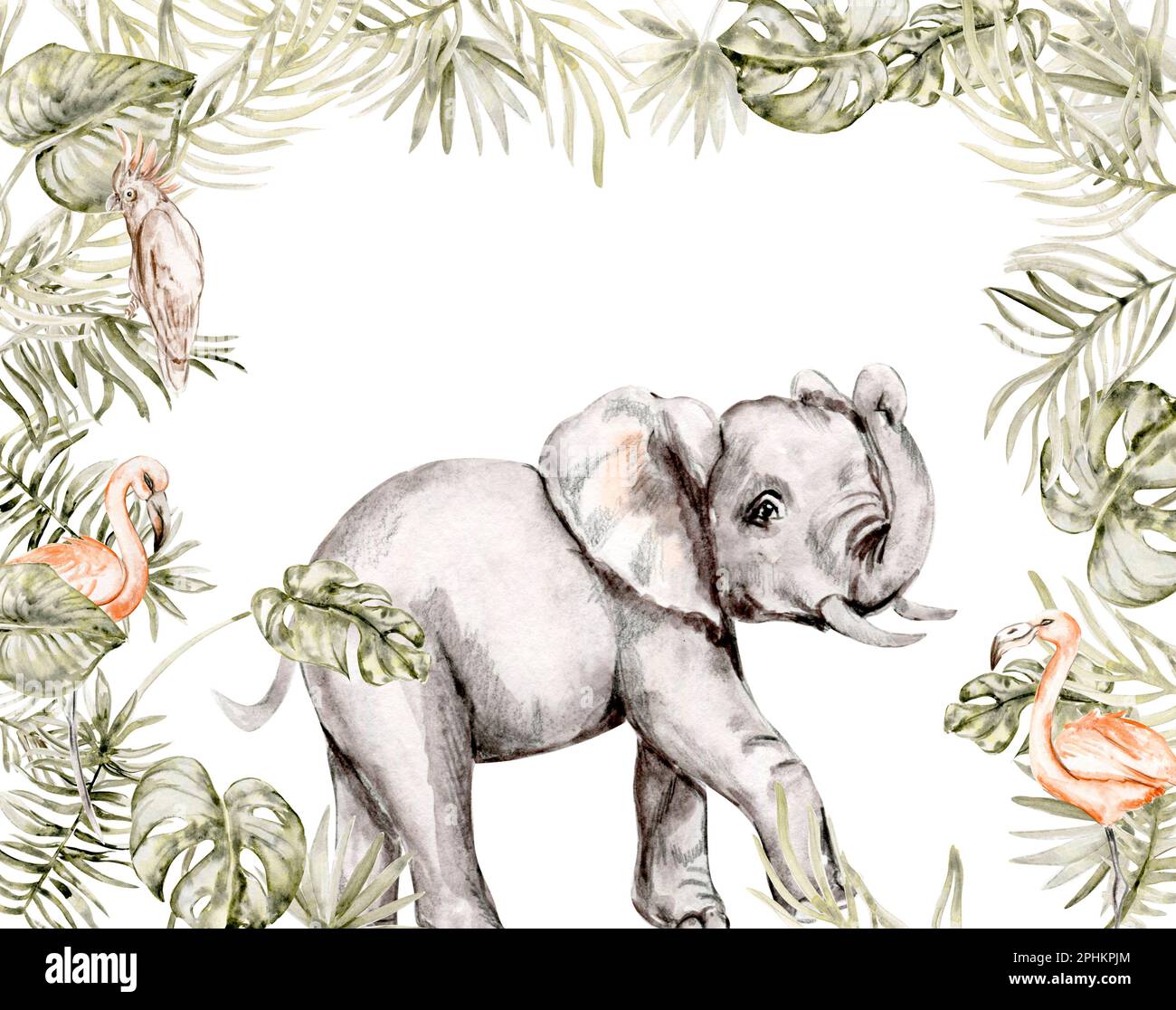 Aquarelle dessin à la main des animaux de la jungle et un branchon de ...