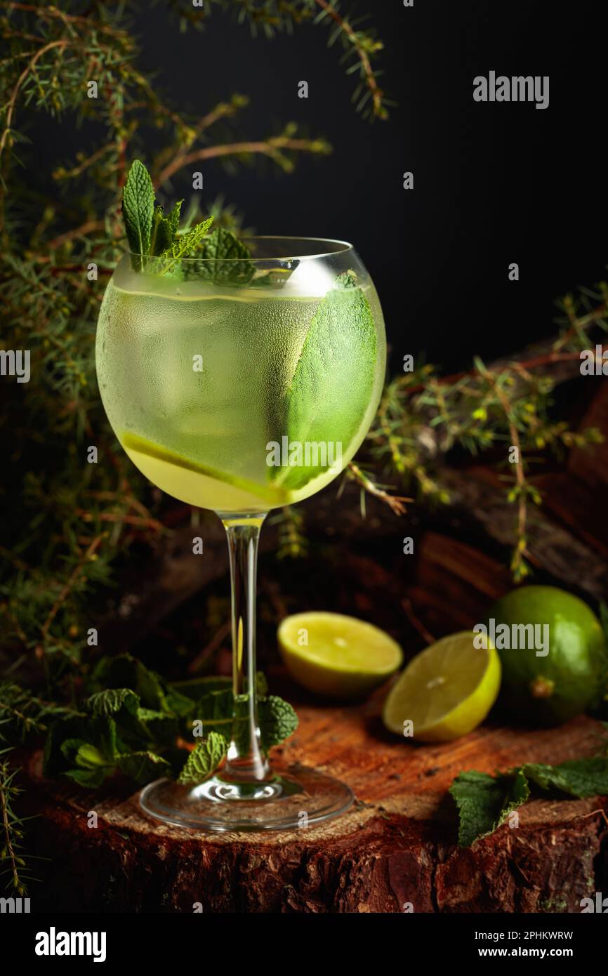 Cocktail gin et tonique au citron vert et à la menthe. Une boisson ...