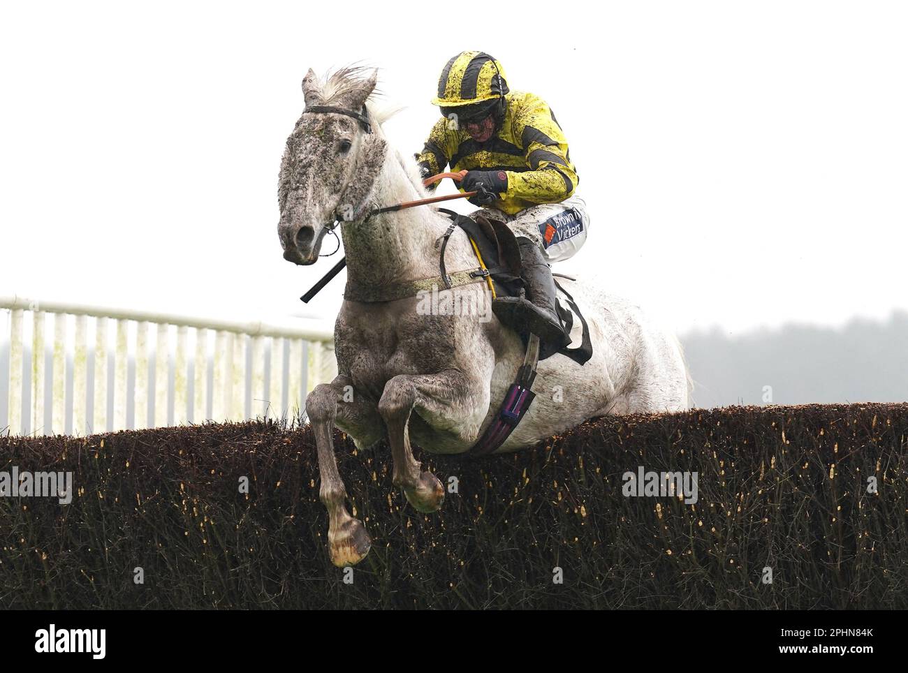 Torrent des Mottes monté par jockey Benjamin poste dans le Suivez-nous ...