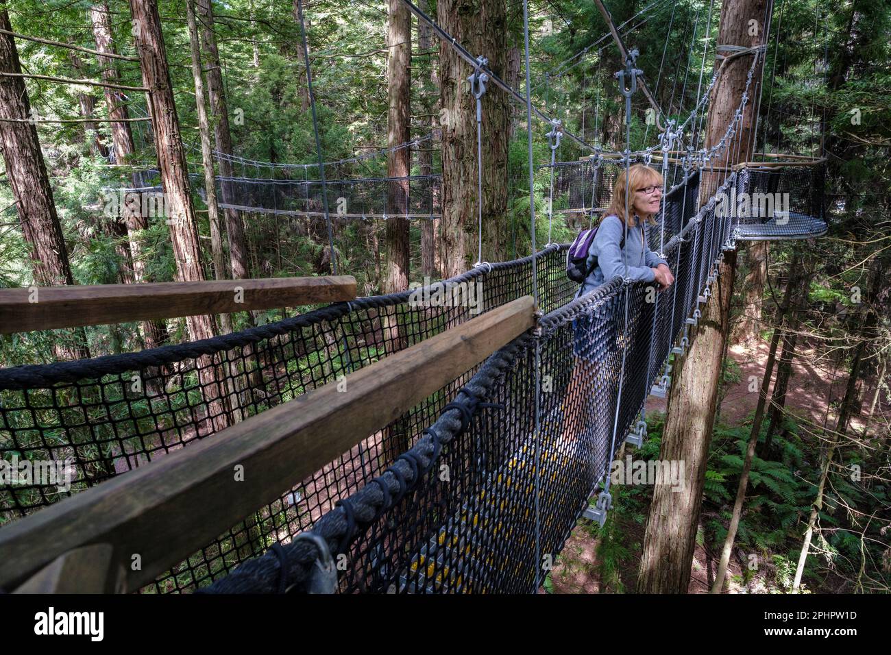 Passerelles suspendues forestieres Banque de photographies et d’images ...