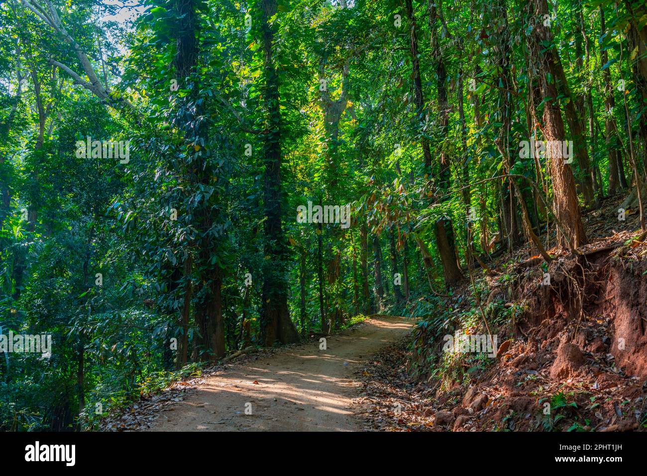 Royal forest park udawattakele Banque de photographies et d’images à ...