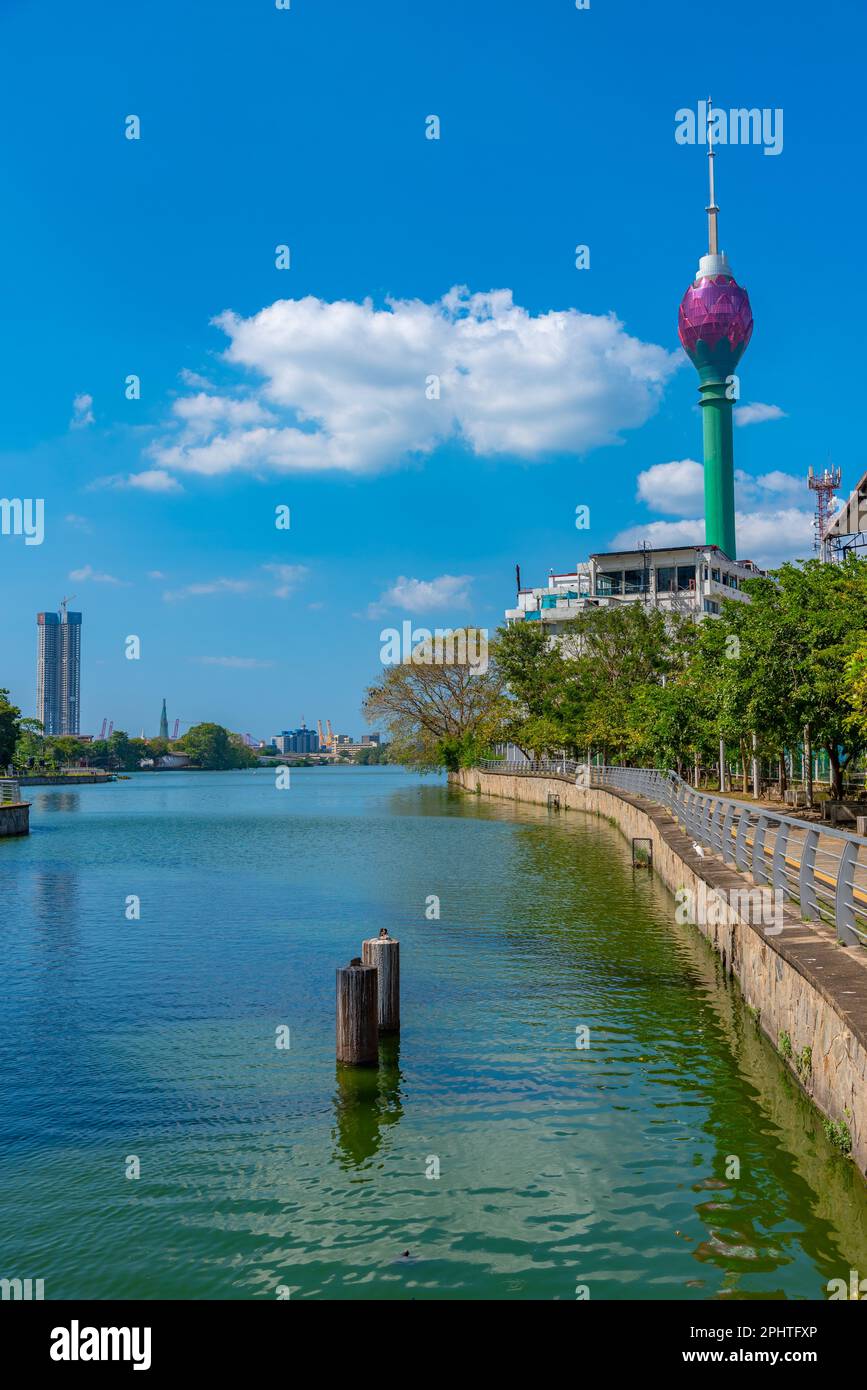 Tour de lotus au sri lanka Banque de photographies et d’images à haute ...