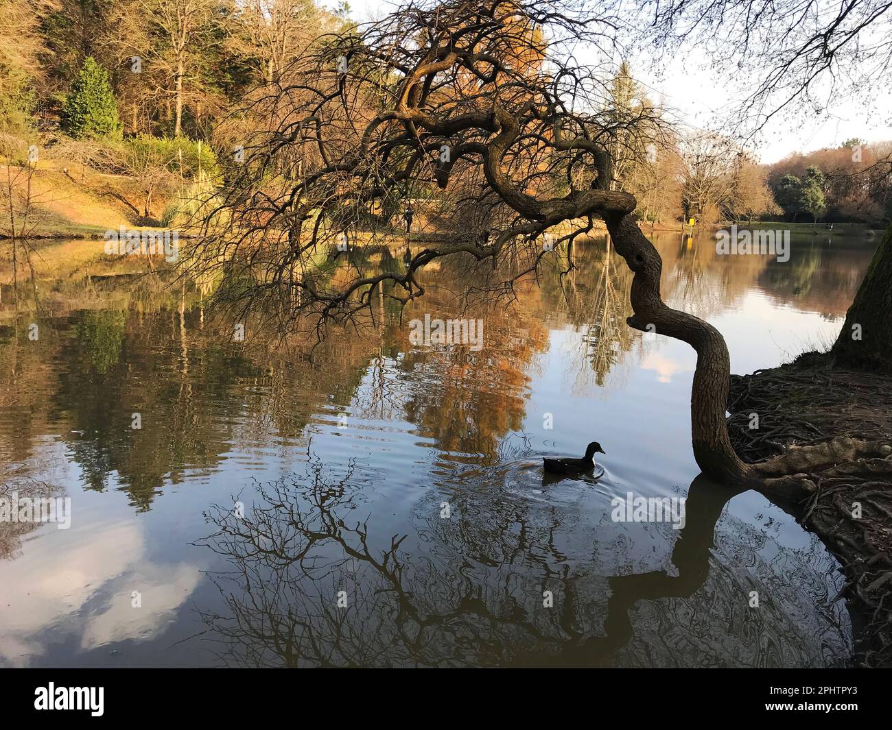 Ataturk arboretumu Banque de photographies et d’images à haute ...
