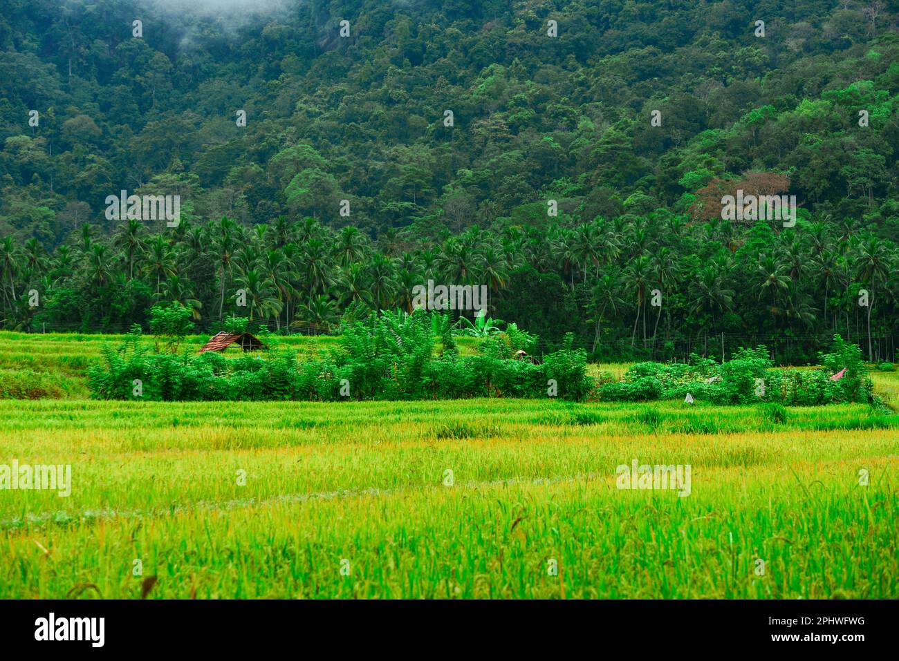 Mb nourriture Banque de photographies et d’images à haute résolution ...