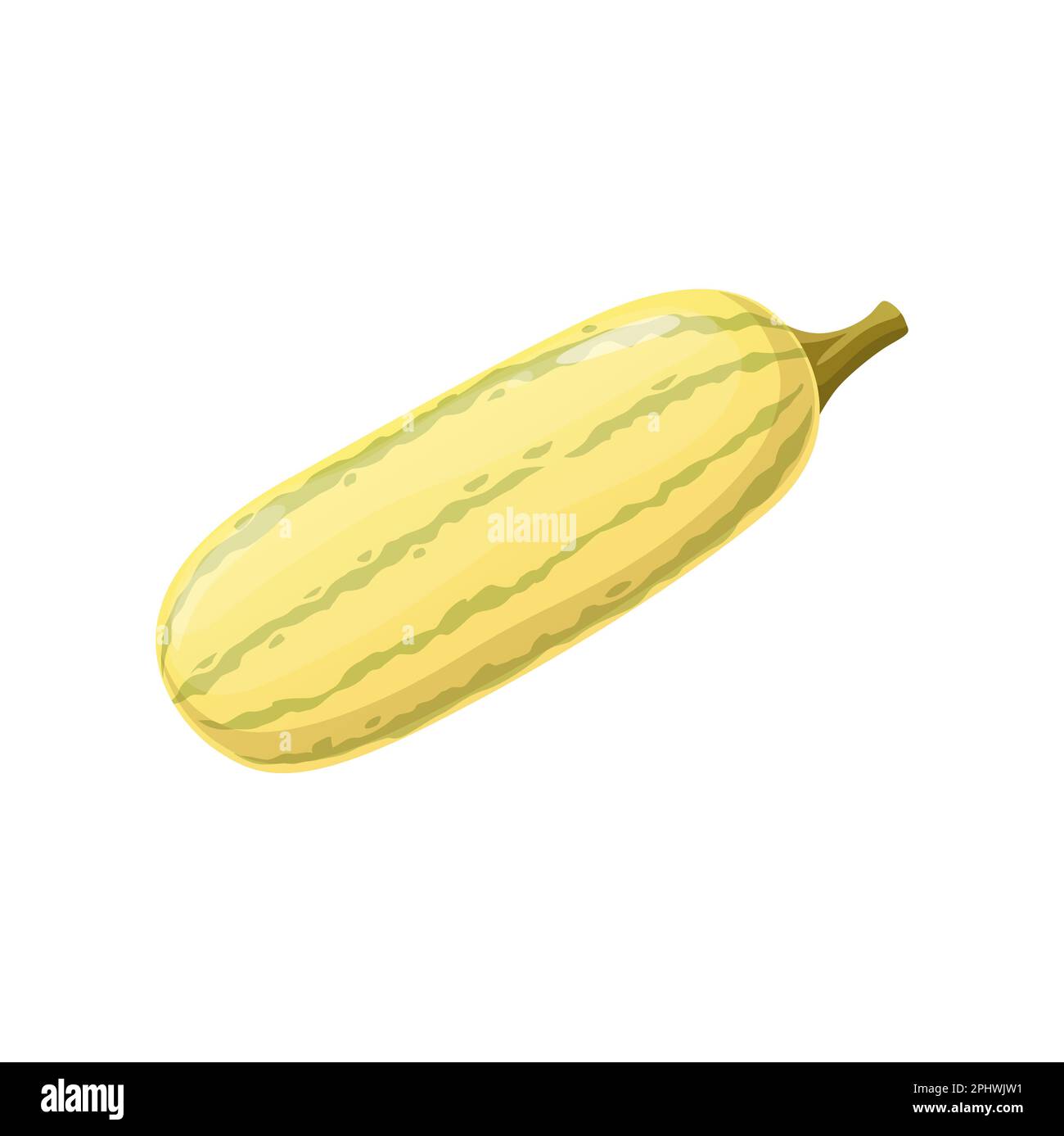 Légumes de courgette brute de dessin animé, plante de courgette ou de ...