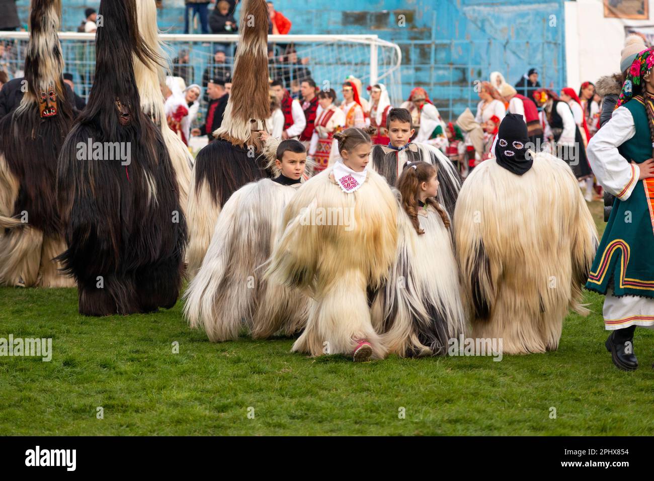Enfants Kukeri Babugeri avec des costumes de chèvre au festival annuel ...