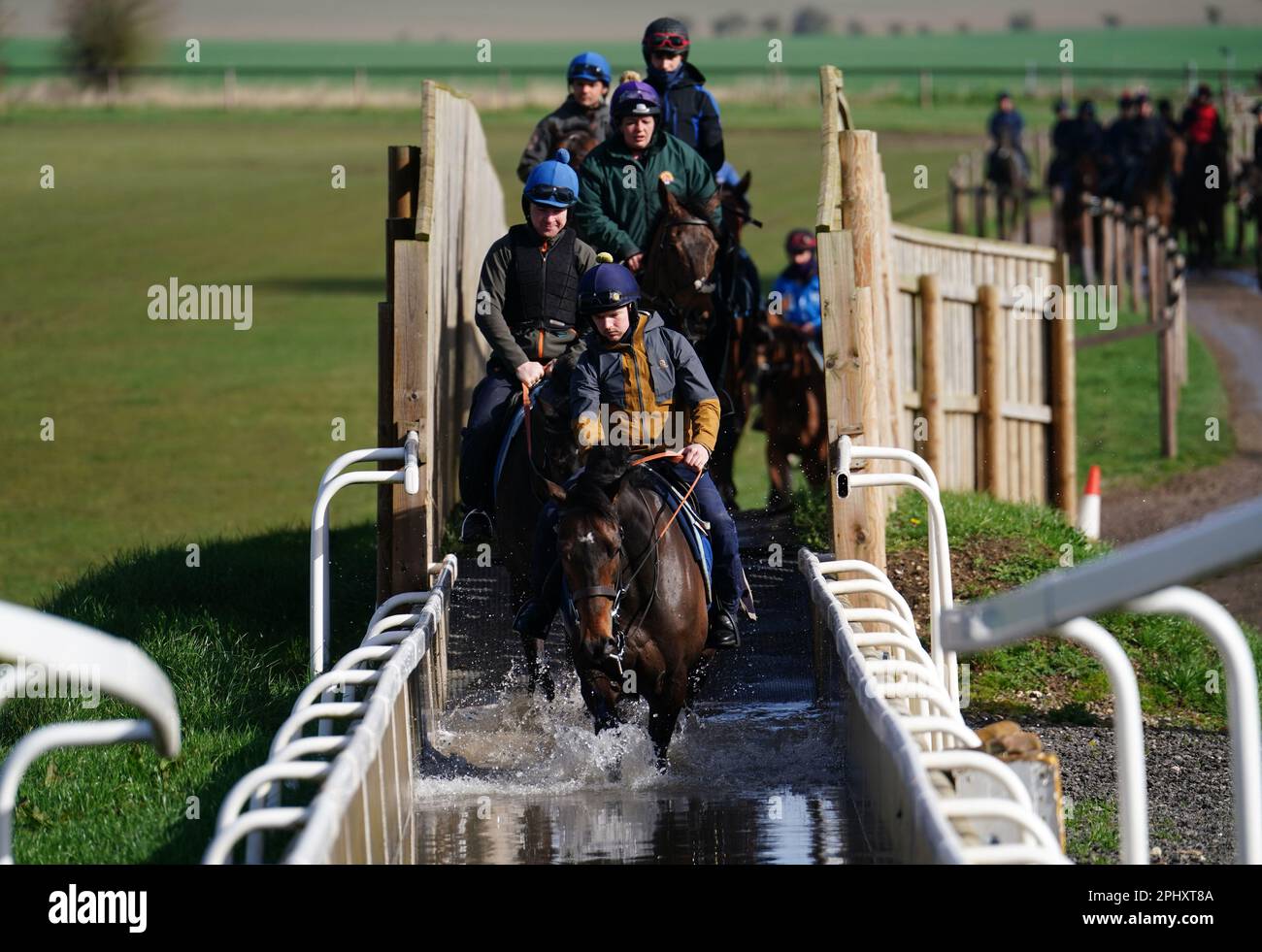 Constitution Hill sur les gallops lors d'une visite à Seven Barrows ...