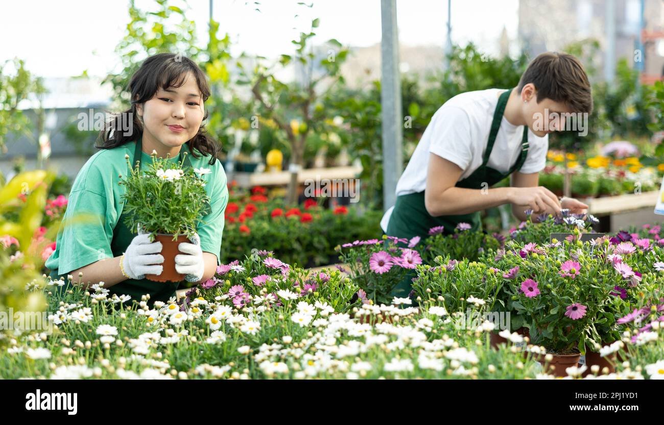 Des botanistes féminins et masculins qualifiés s'occupent d ...