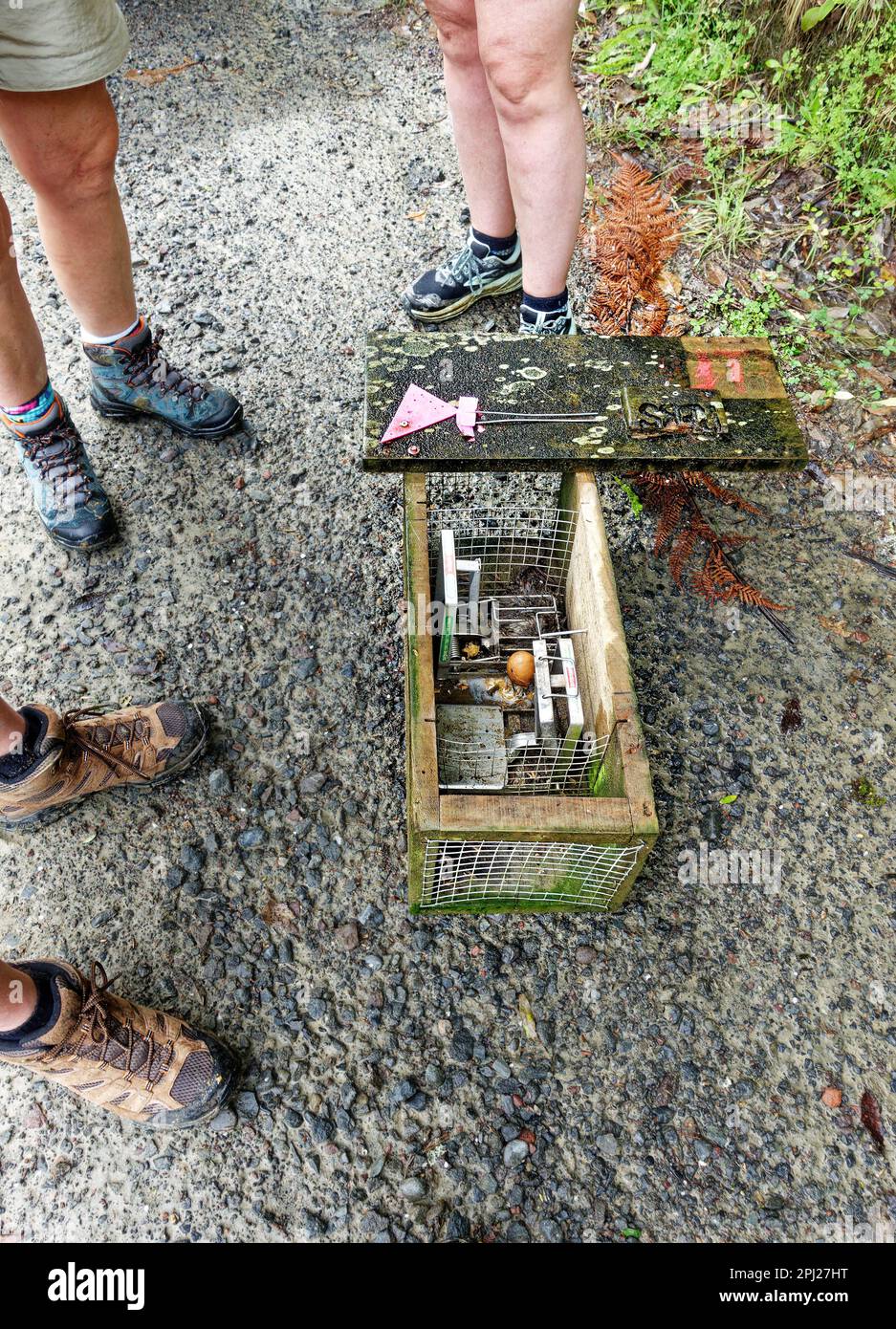 Rat de brousse Banque de photographies et d’images à haute résolution ...