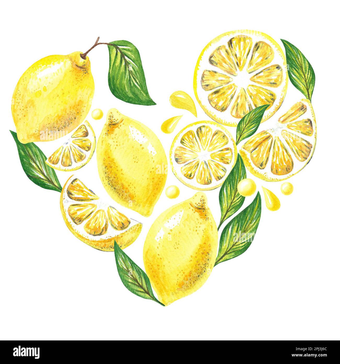 Citron aquarelle Banque de photographies et d’images à haute résolution ...