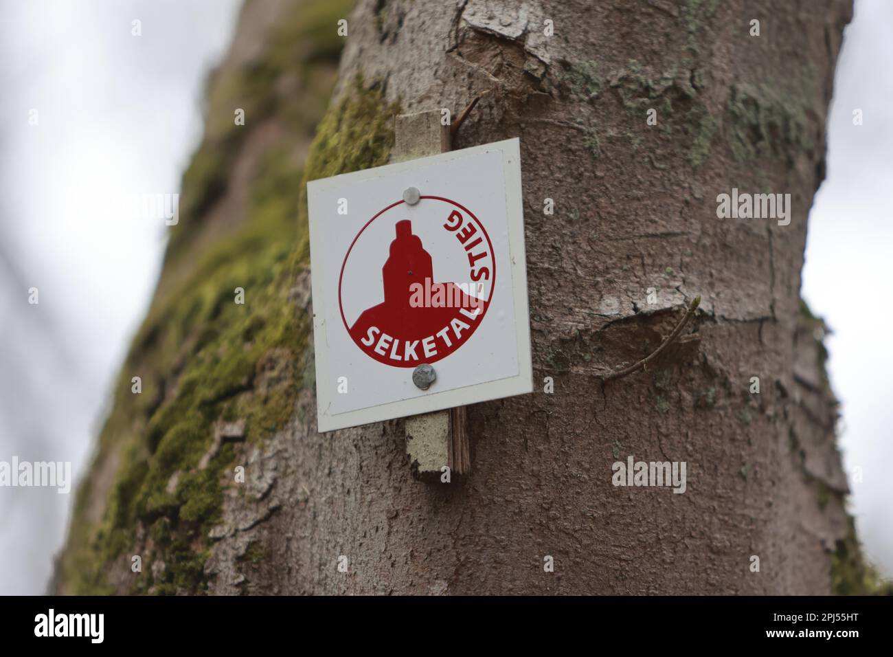29 mars 2023, Saxe-Anhalt, Alexisbad: Un panneau de la Wandernadel de ...