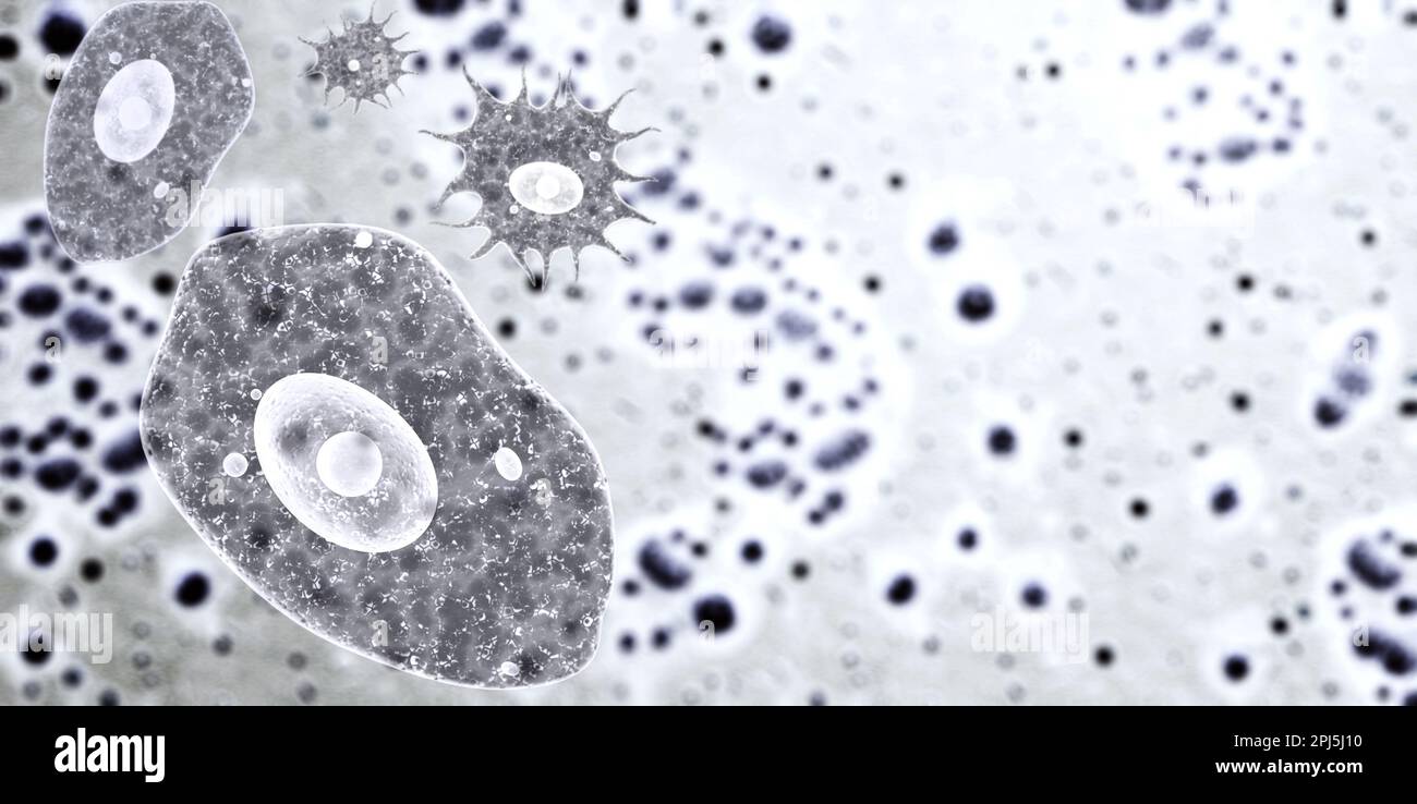 Bannière horizontale ou verticale avec bactéries et virus pathogènes ...