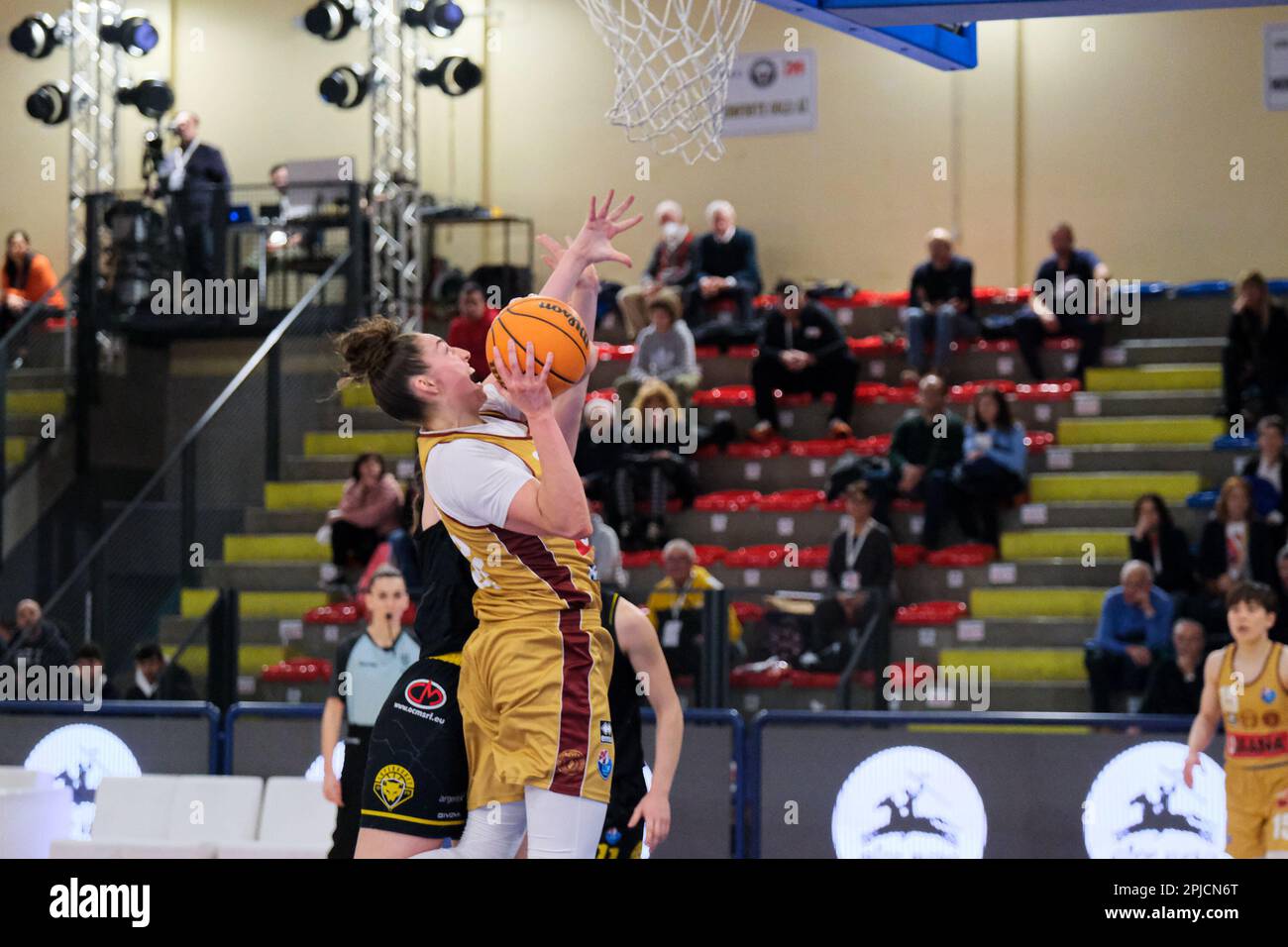 Shepard jessica lynn Banque de photographies et d’images à haute ...