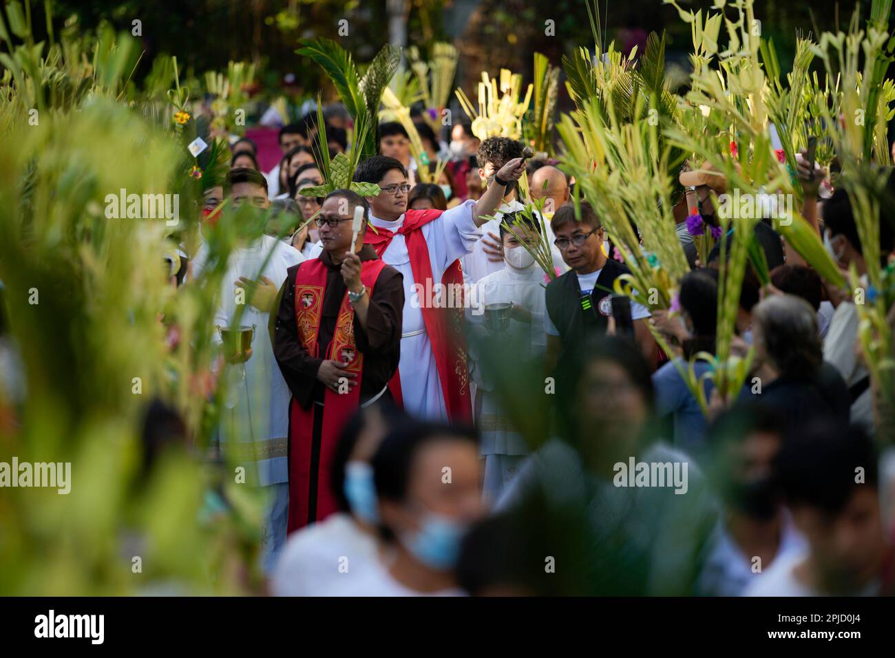 Catholic devotees wave their palm fronds as Roman Catholic priests ...