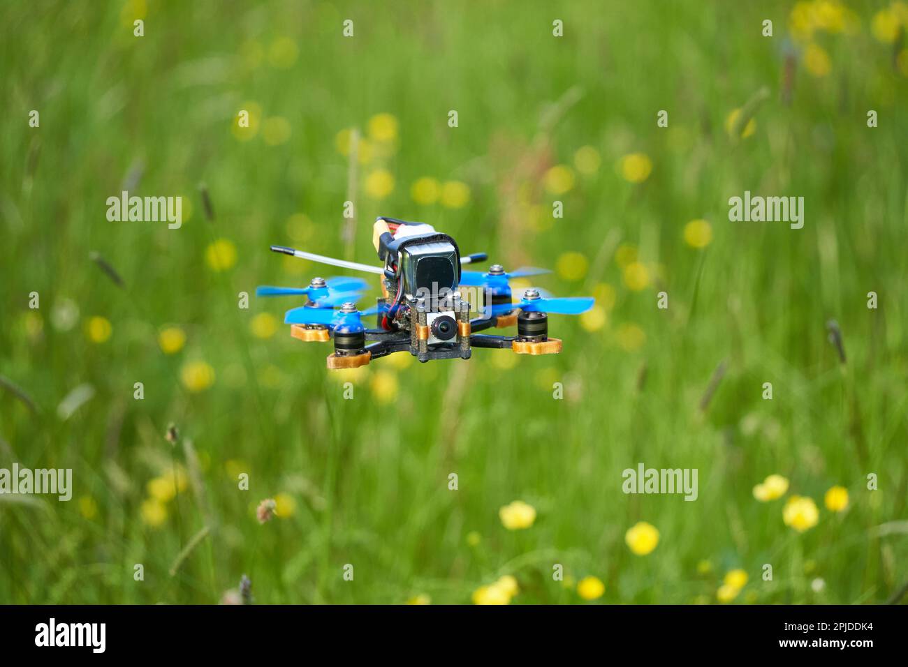 Un petit drone de course flotte calmement sur une belle prairie de ...