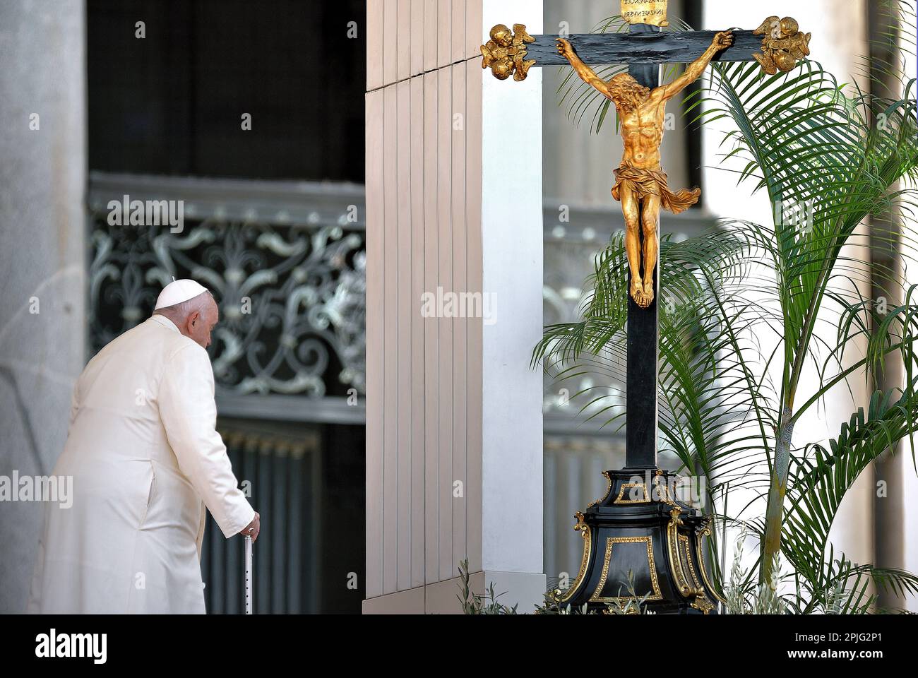 Le pape François célèbre la messe du dimanche des palmes sur la place ...