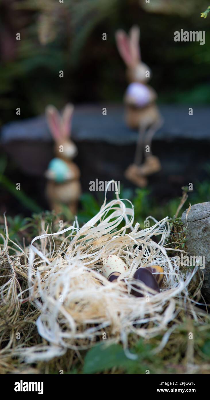 Oeufs de chocolat de Pâques dans le nid caché dans le jardin avec deux ...