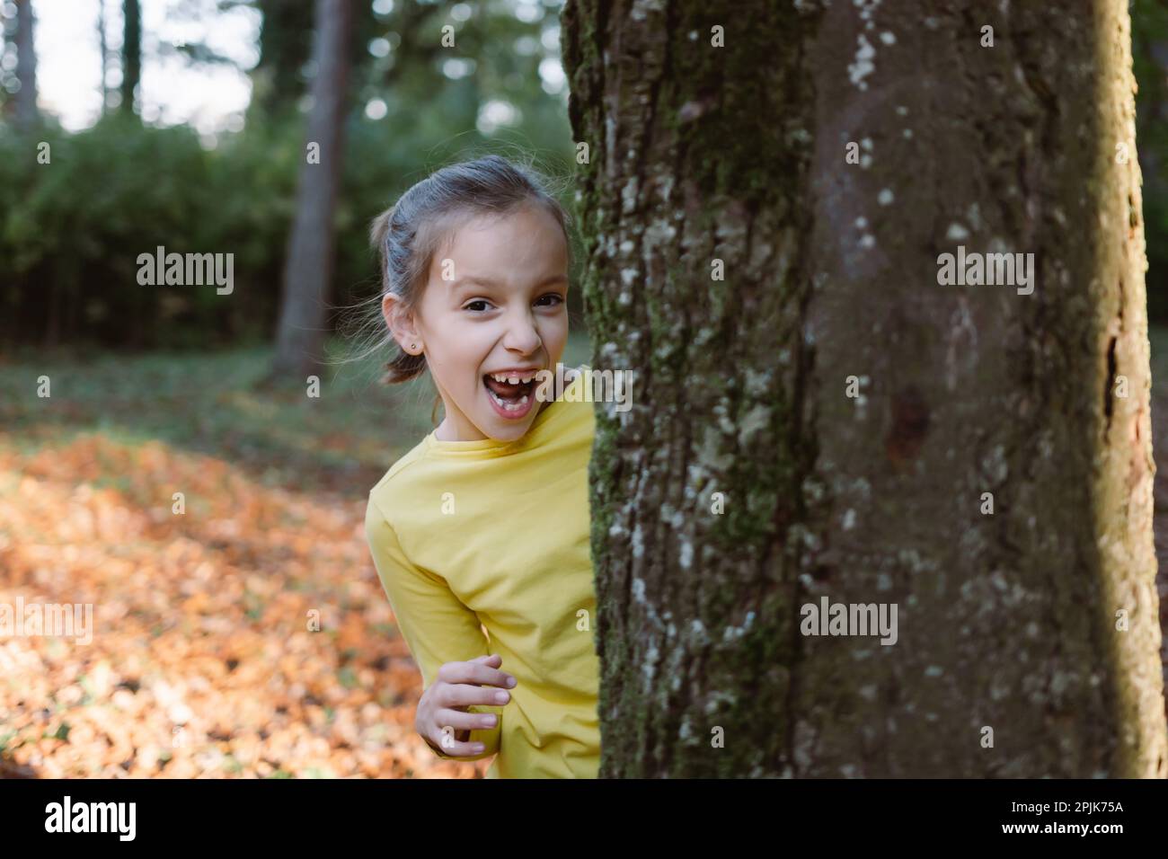 Enfant qui se cache derrière un arbre Banque de photographies et d’images à haute résolution - Alamy