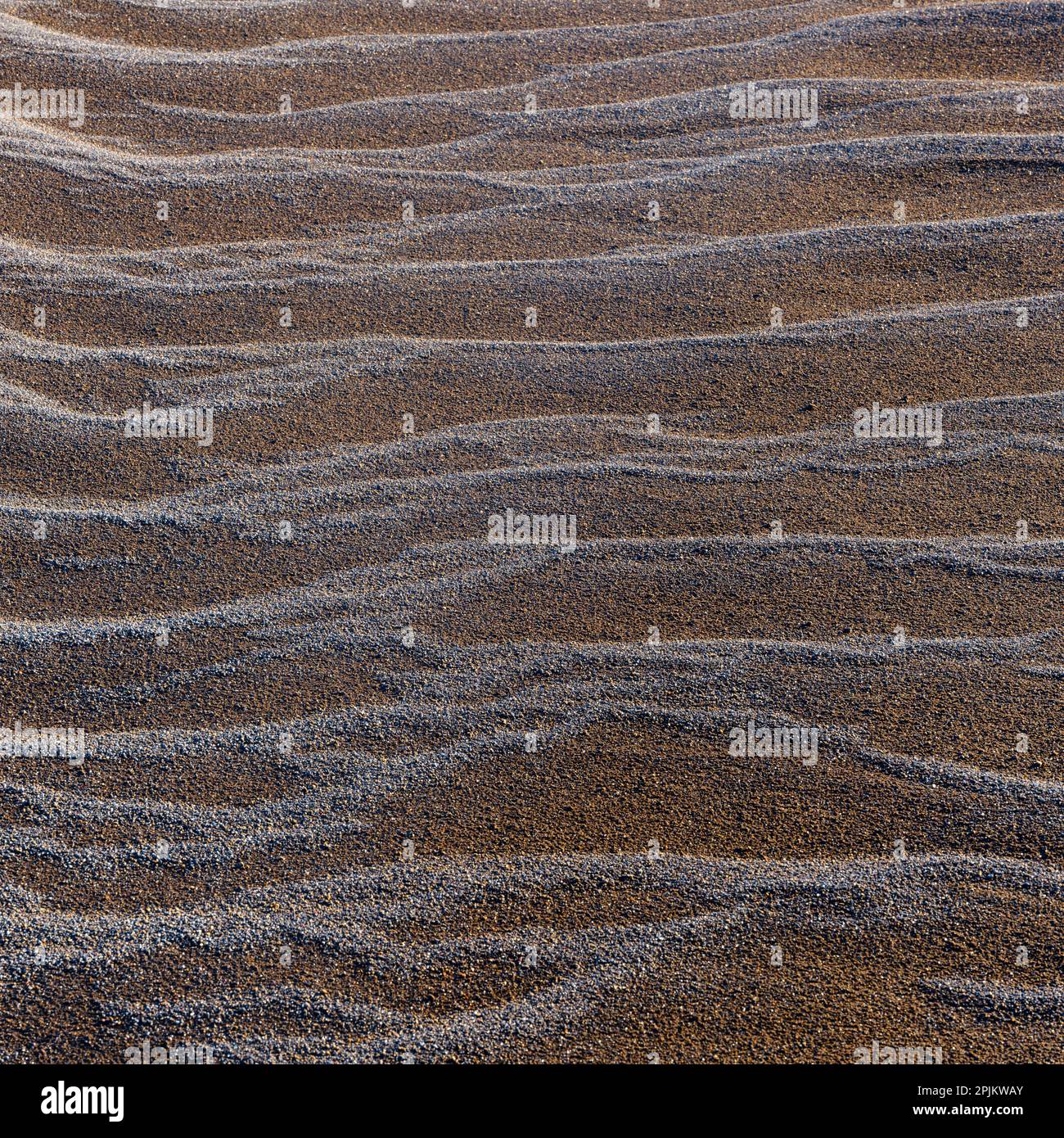Lapilli et cendres volcaniques de l'éruption de Bardarbunga dans la ...