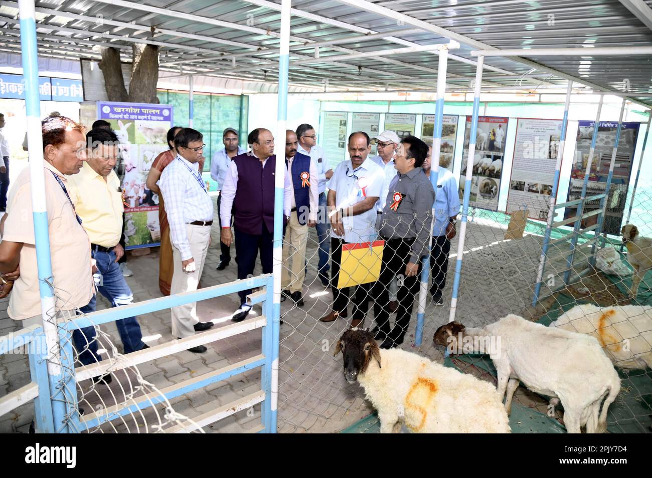 Fondation du 50e anniversaire Banque de photographies et d’images à ...