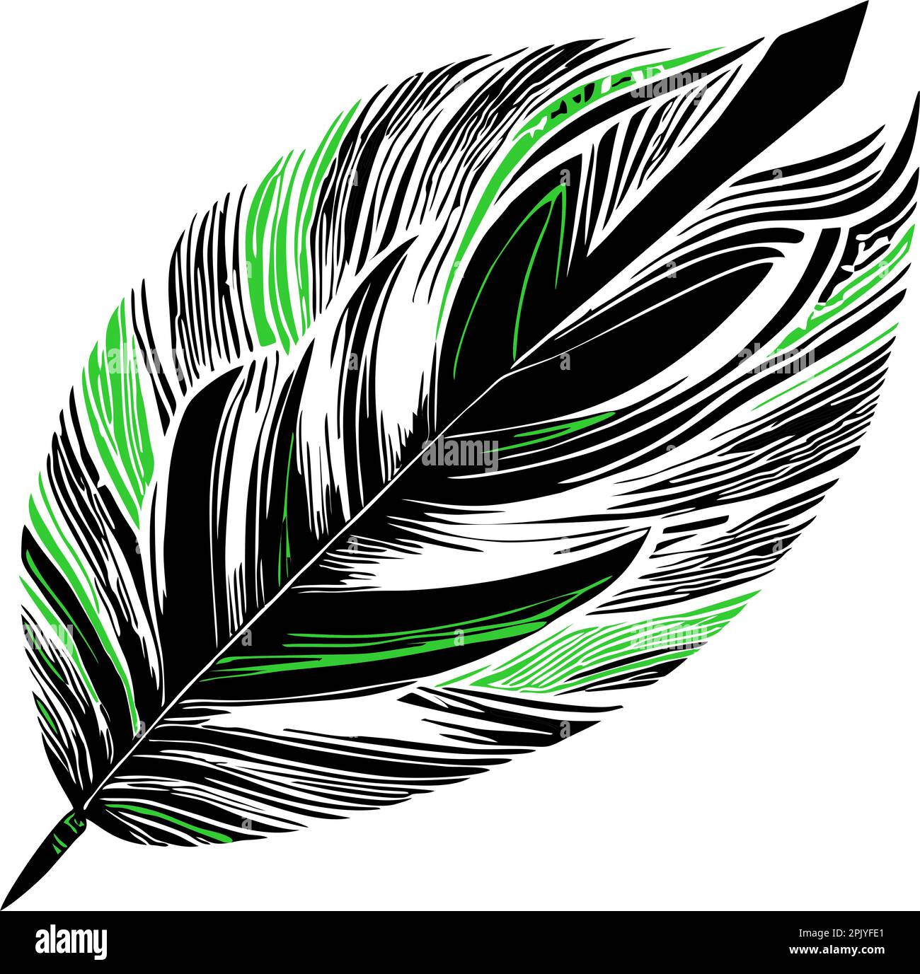 dessin graphique simple plume d'oiseau noir et vert, croquis, logo ...