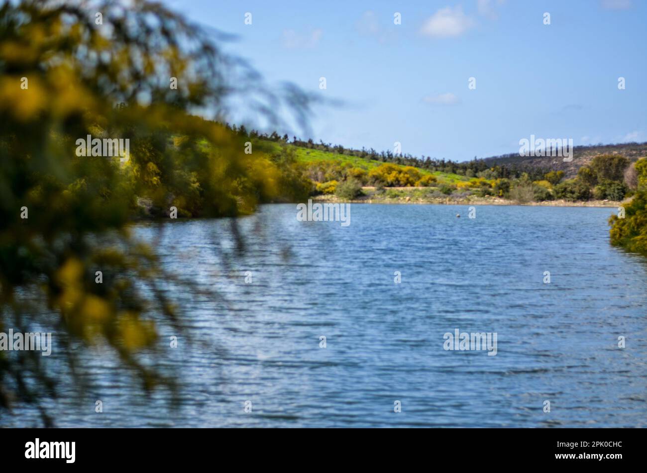 Tunis, Tunisie. 4th avril 2023. Bizerte, Tunisie, 04 avril 2023 : une ...