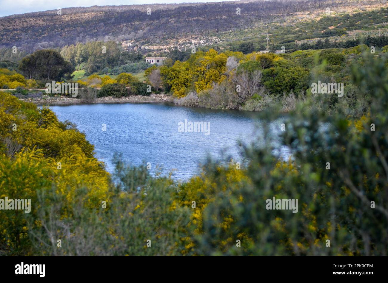 Tunis, Tunisie. 4th avril 2023. Bizerte, Tunisie, 04 avril 2023 : une ...