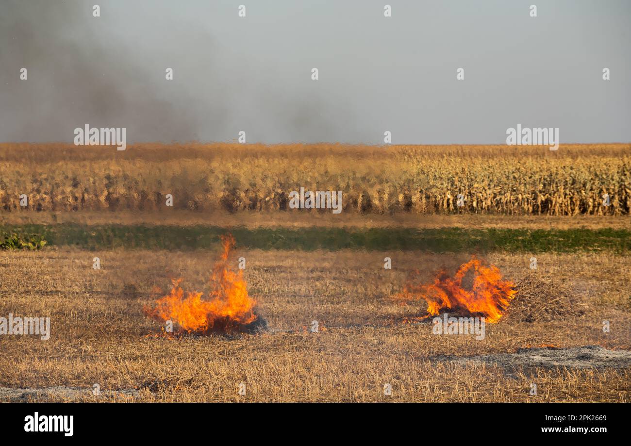 incinération des déchets agricoles - smog et pollution. Émissions ...