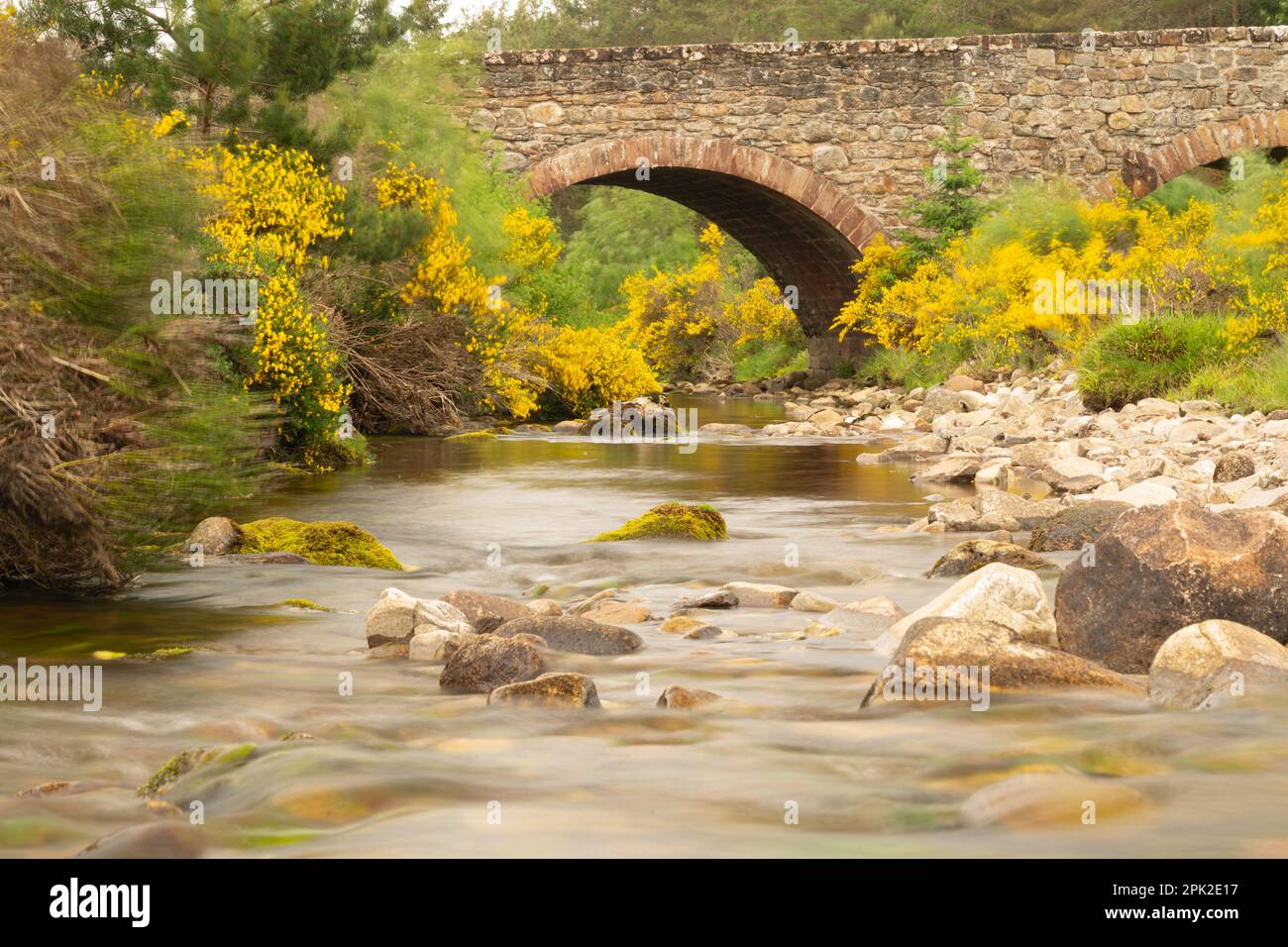 Ruisseau de montagne et de pierre Banque de photographies et d’images à haute résolution - Alamy