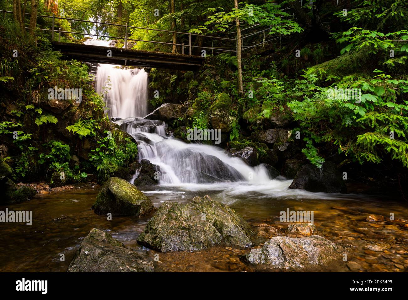 Une cascade dans la Forêt Noire, avec des rochers et des pierres, couverte de mousse. Partie de ...