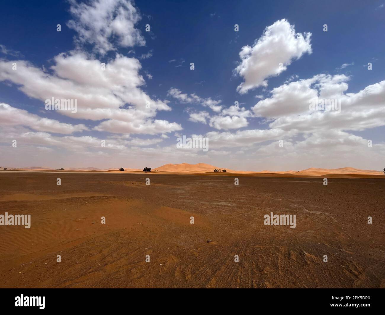 Merzouga, dunes d'Erg Chebbi, Maroc, Afrique, route panoramique dans le désert du Sahara avec ...