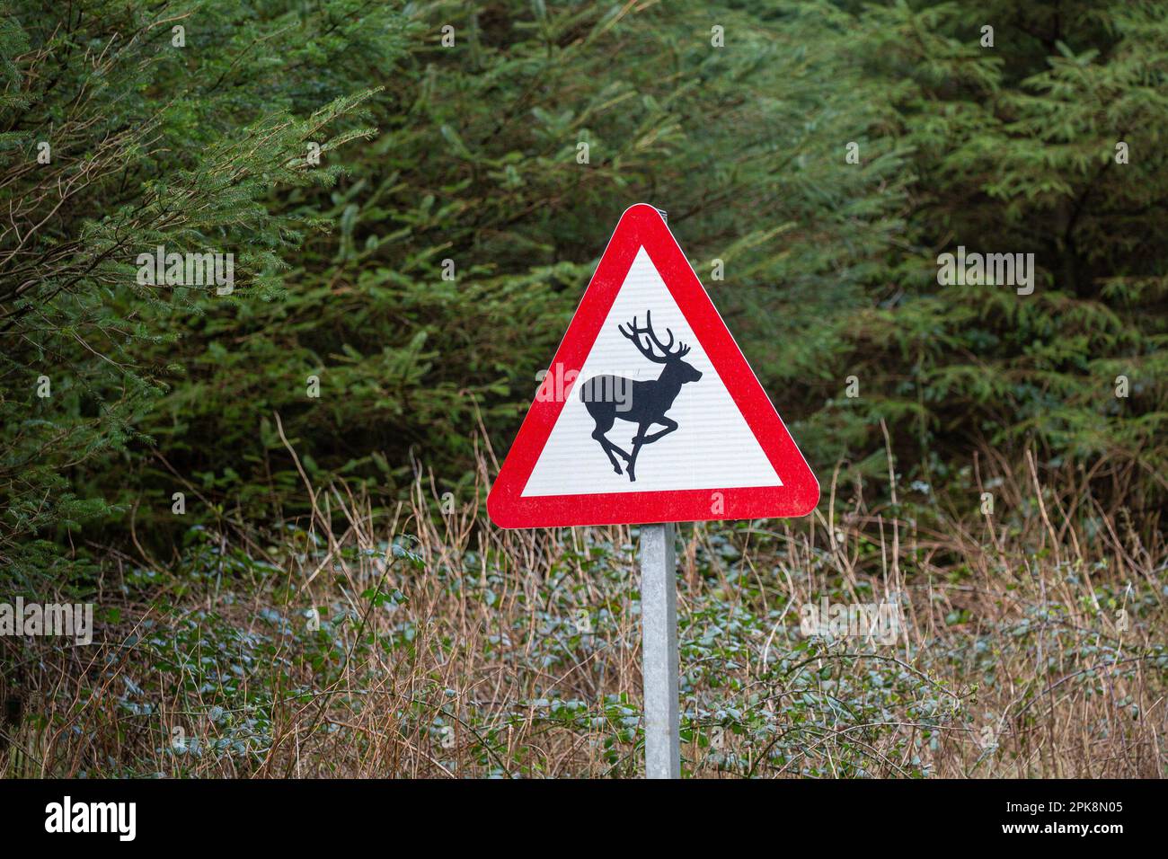Panneau signalisation triangle Banque de photographies et d’images à ...