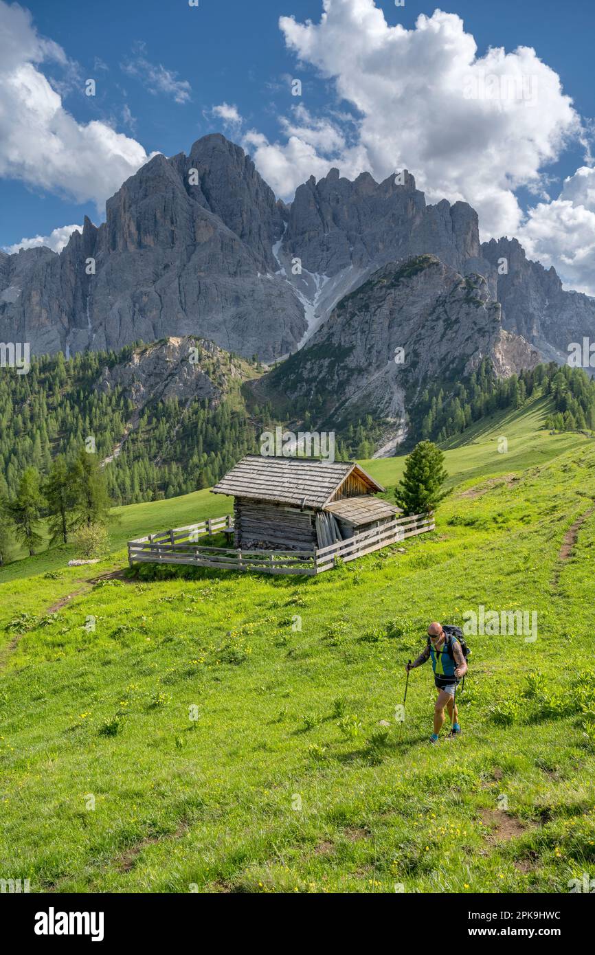 Dobbiaco, Val Pusteria, province de Bolzano, Tyrol du Sud, Italie. Un ...
