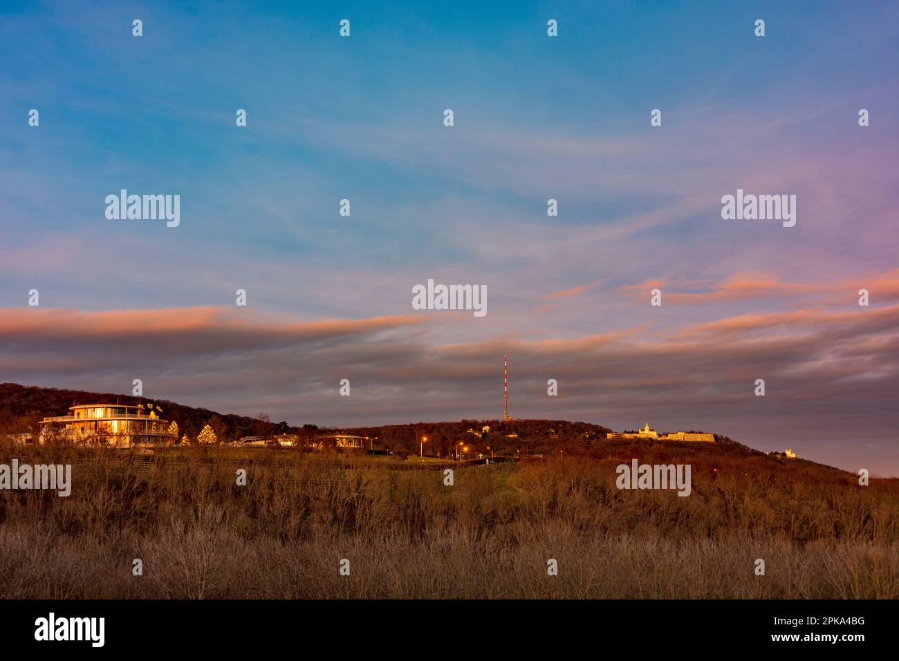 Wienerwald bois de vienne avec restaurant cobenzl Banque de ...