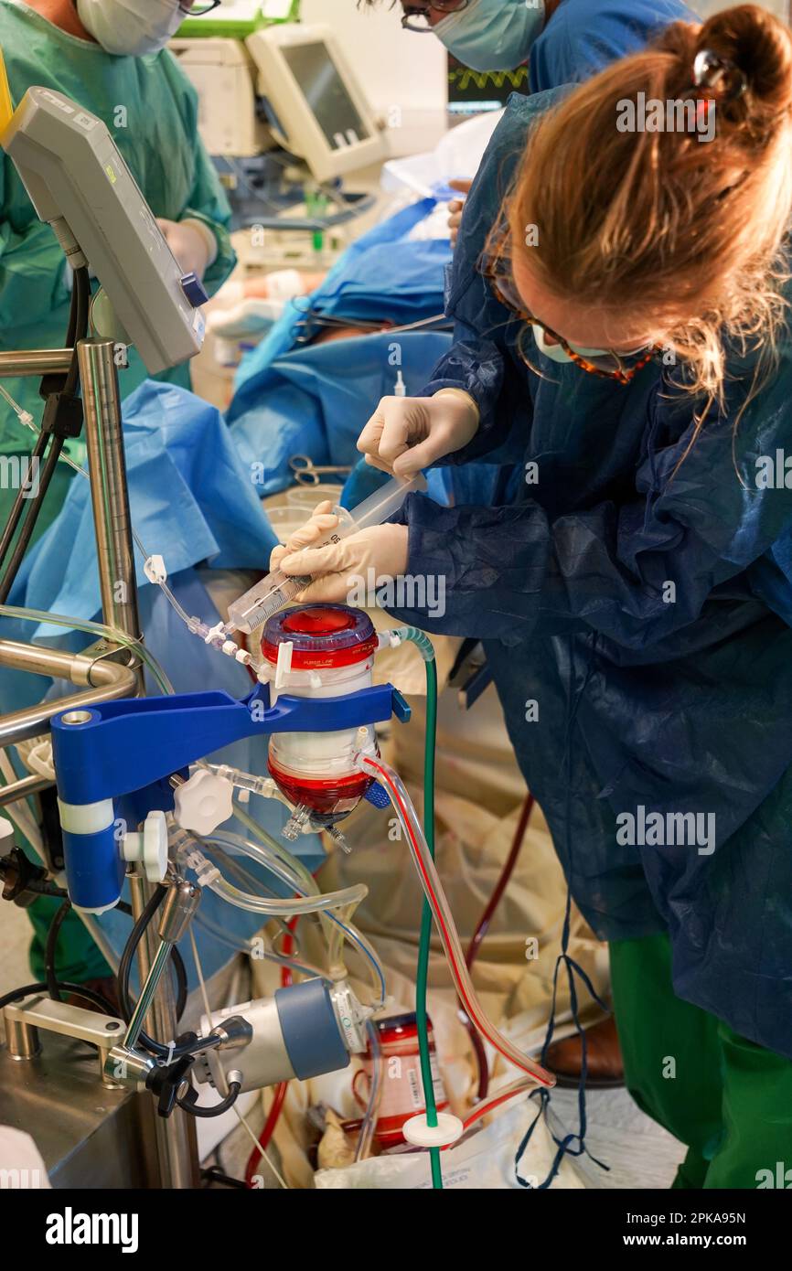 Formation de stagiaires médicaux à la technique ECMO, Oxygénation extracorporelle des membranes ...