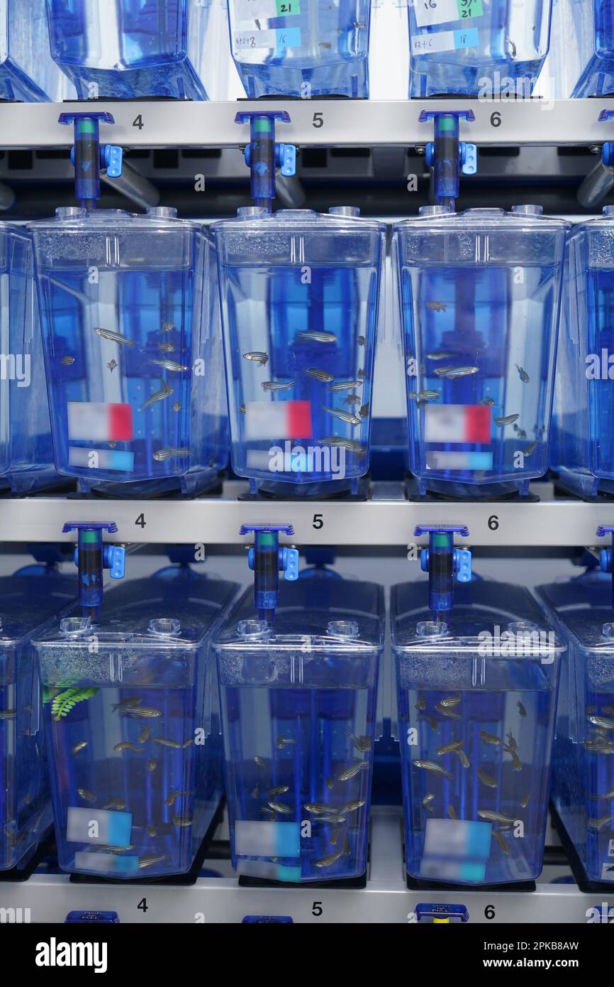 Laboratoire de poissons Banque de photographies et d’images à haute ...