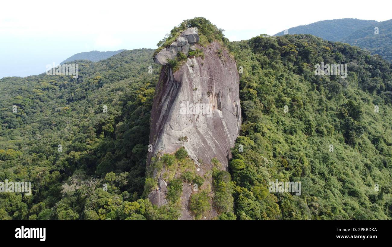 Une vue panoramique sur le paysage de Pico do Papagaio (pic du ...