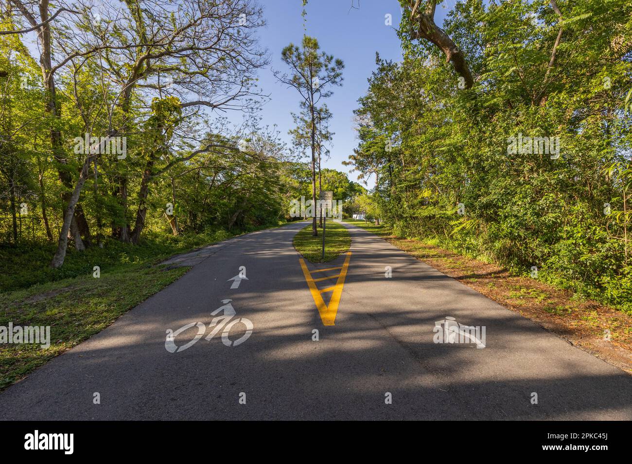 Balade à vélo dans la forêt Banque de photographies et d’images à haute ...