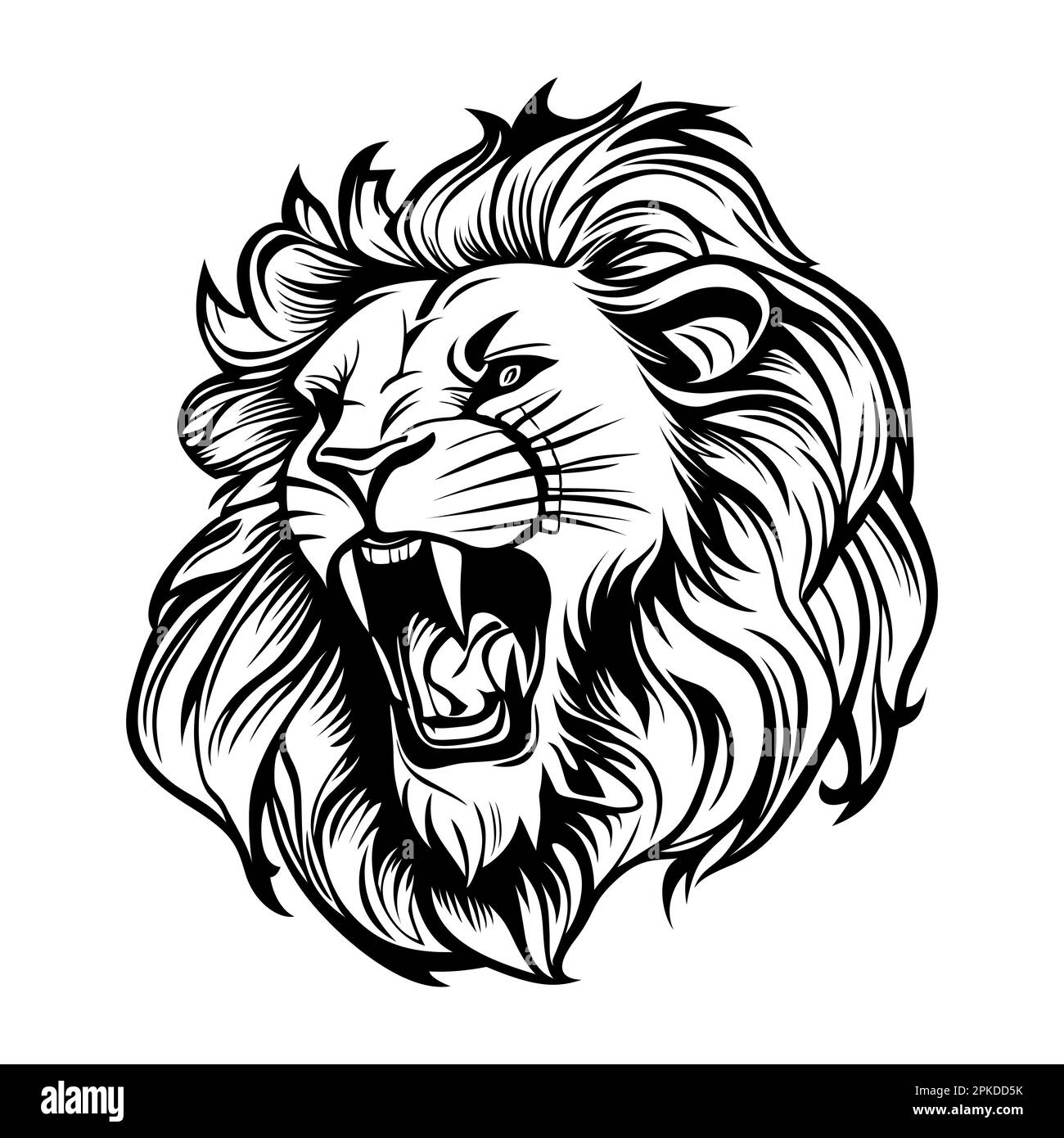 Méchant lion Banque d'images noir et blanc - Alamy