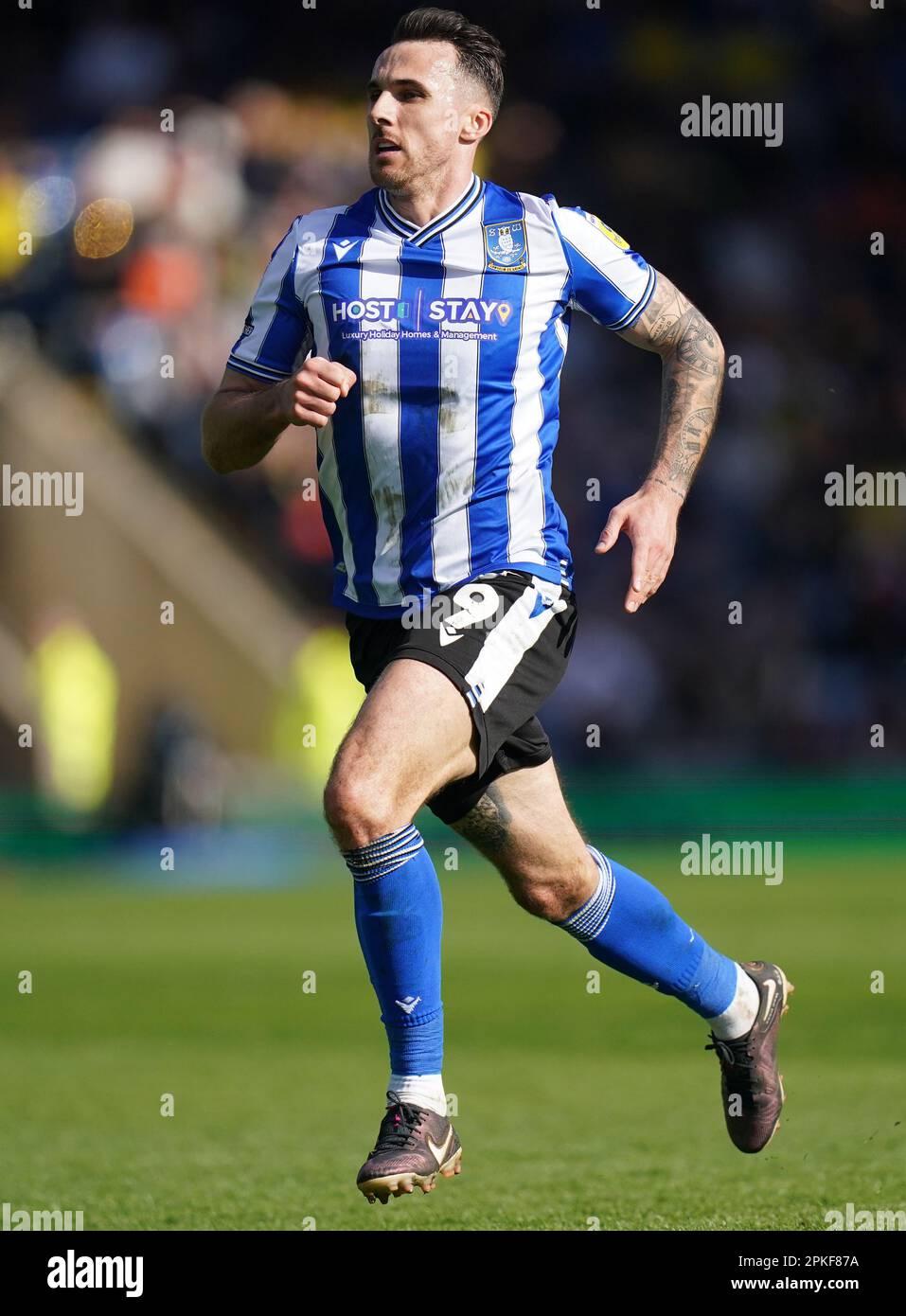 Lee Gregory, de Sheffield Wednesday, en action lors du match de la Sky ...