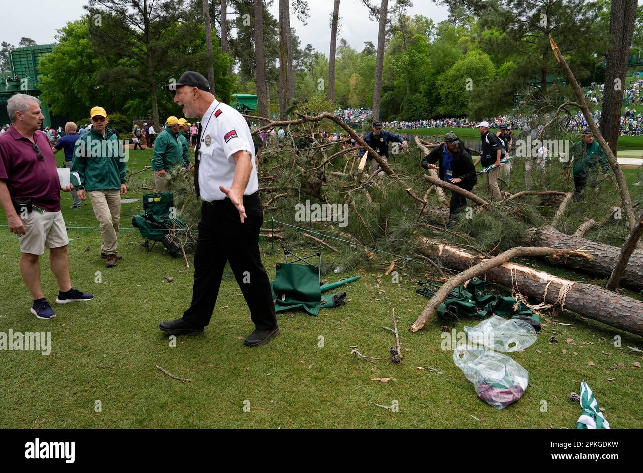 A security guard moves patrons away from trees that blew over on the ...
