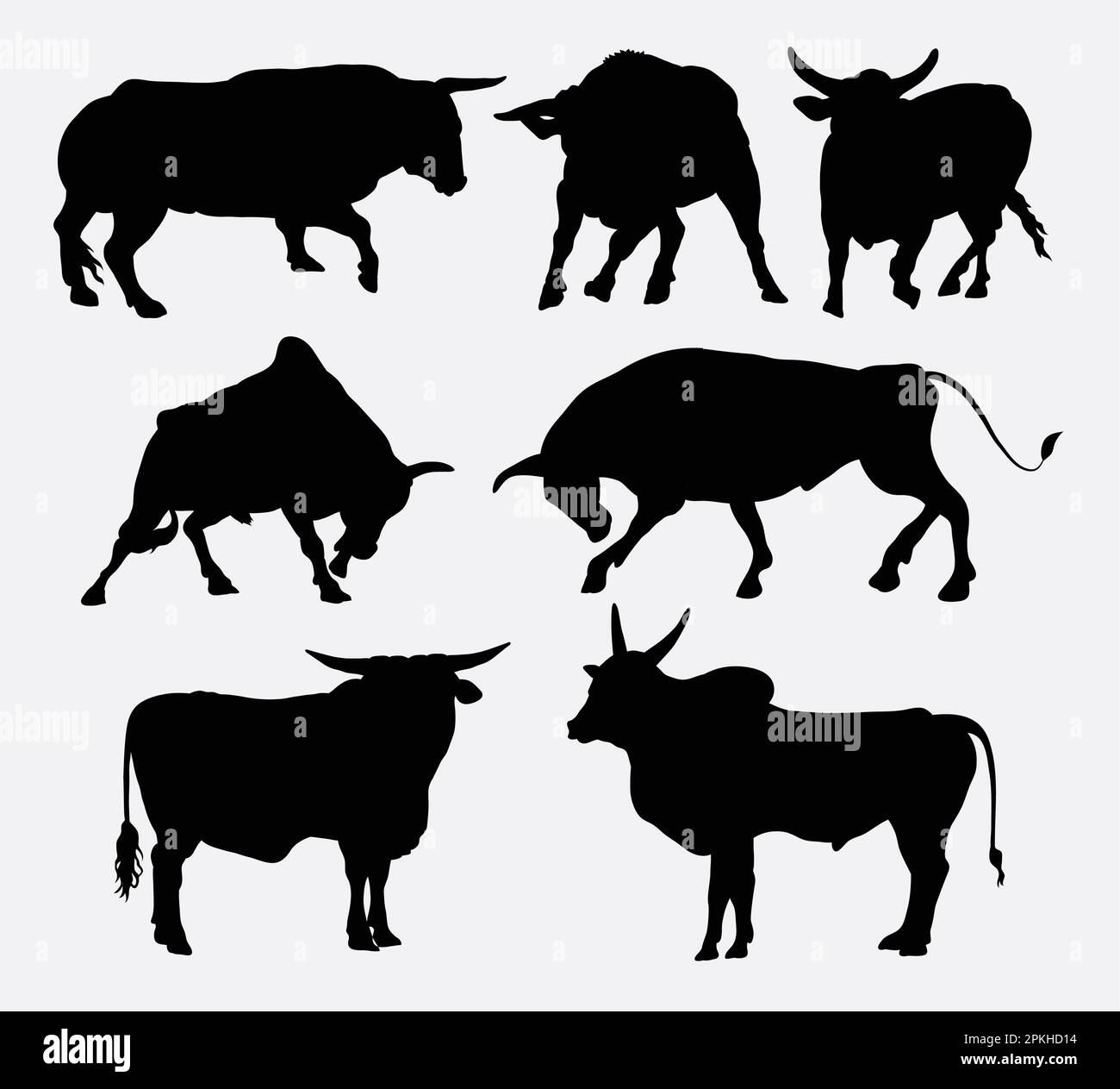 Vectores de toros vectores Banque de photographies et d’images à haute ...