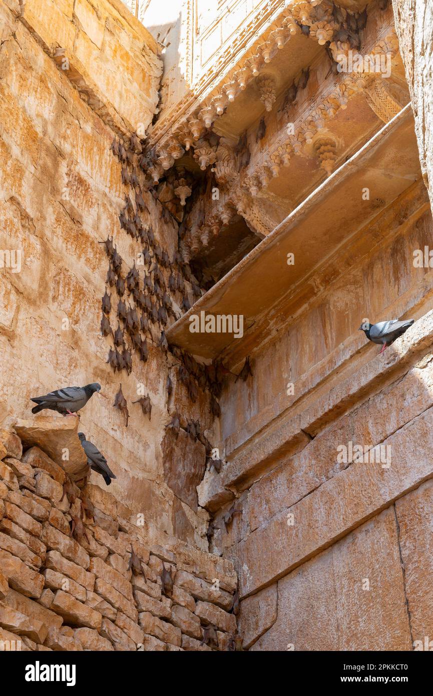 Raja rani mahal Banque de photographies et d’images à haute résolution ...