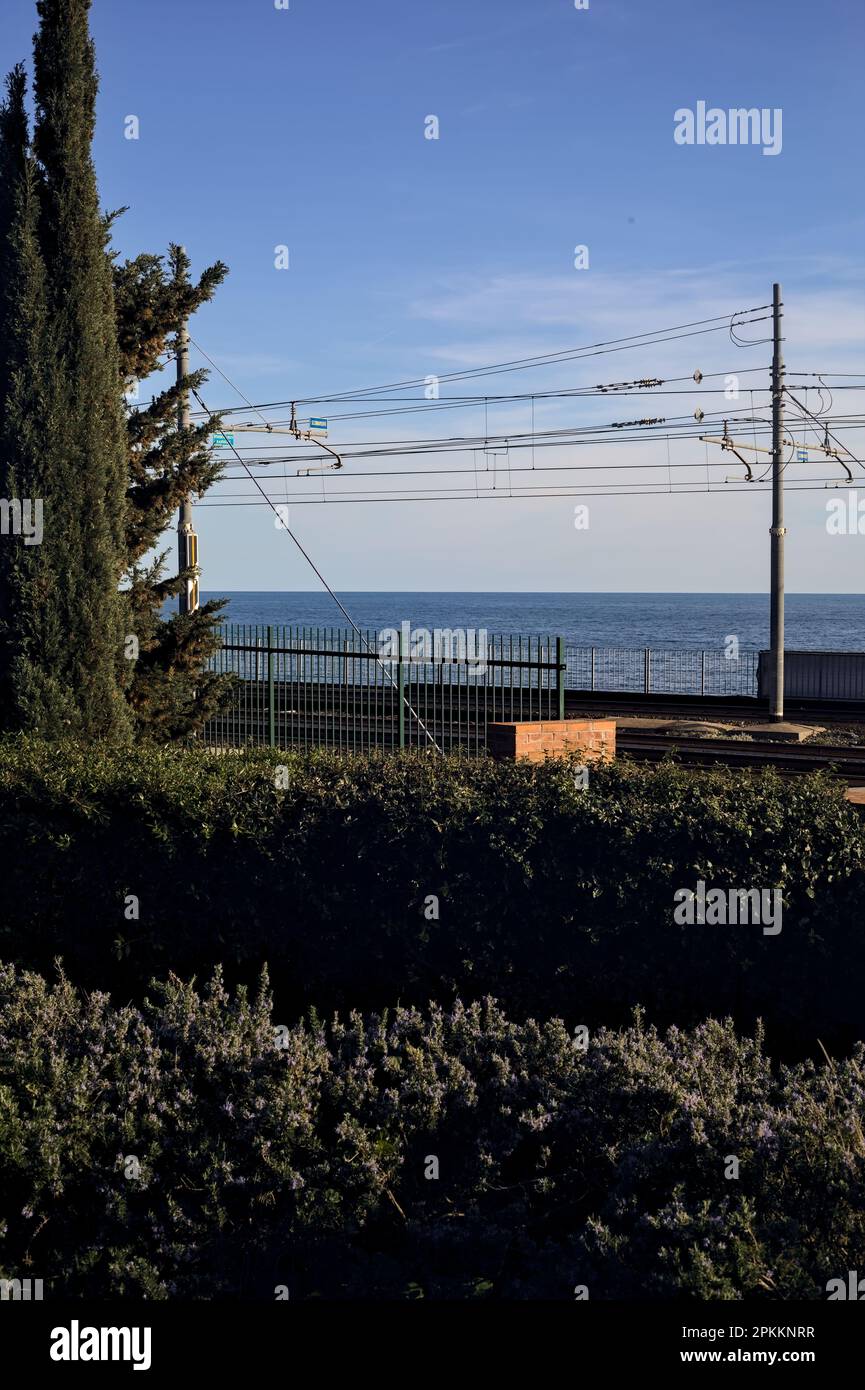 Chemin de fer par la mer au coucher du soleil vu d'un parc et encadré ...